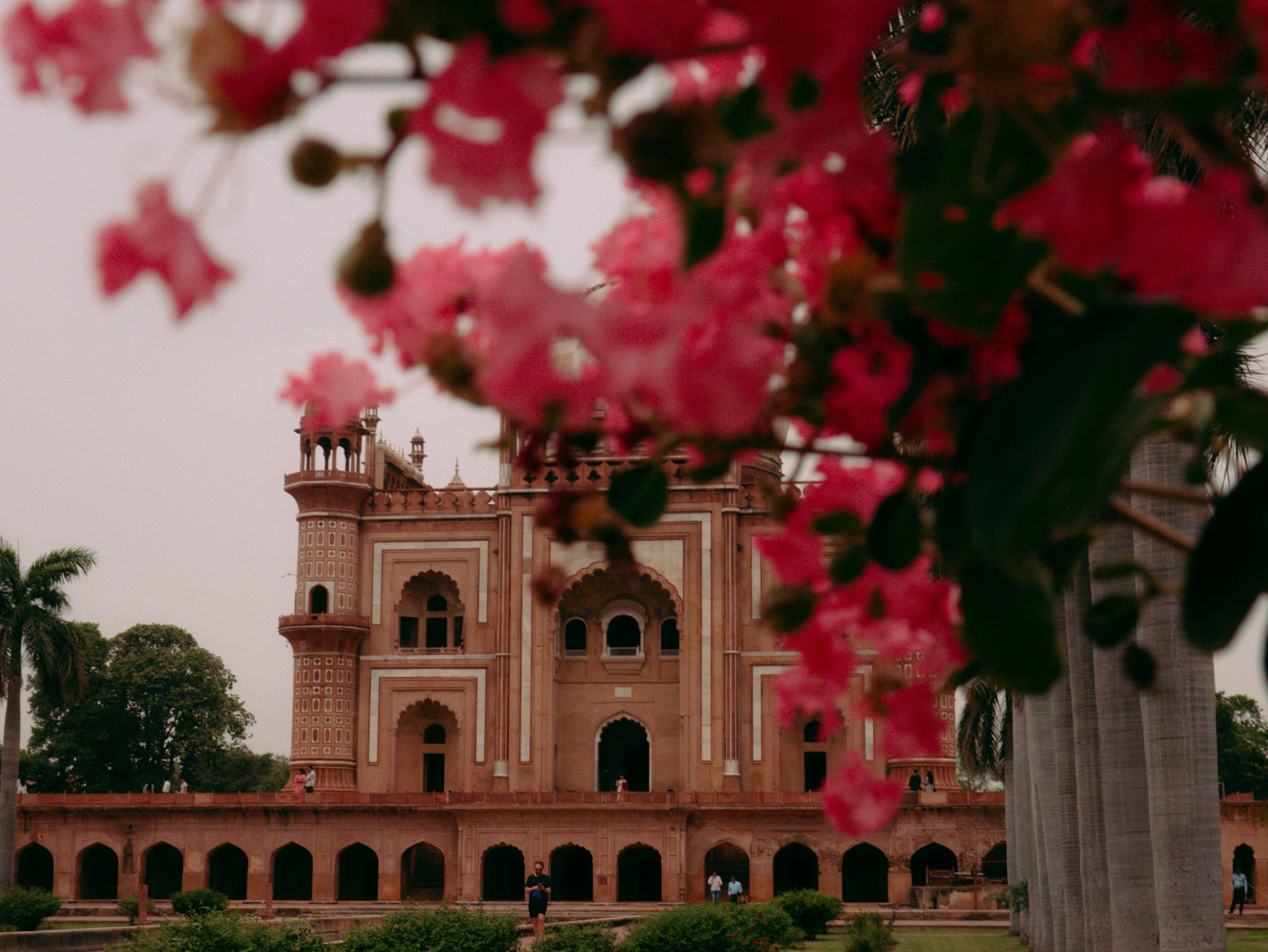 Floral Framing of Heritage Splendor