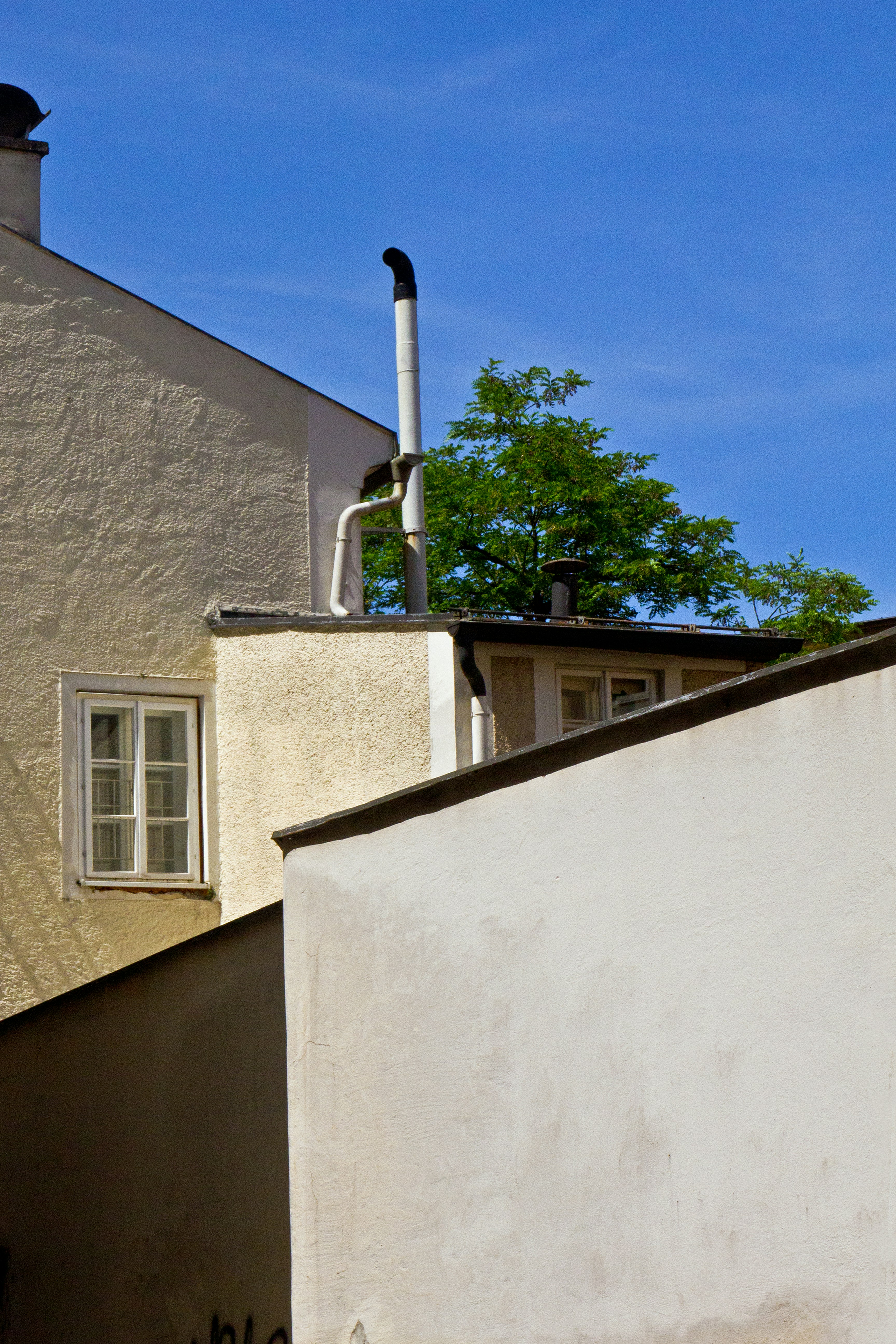 Urban Harmony: Nature Meets Architecture