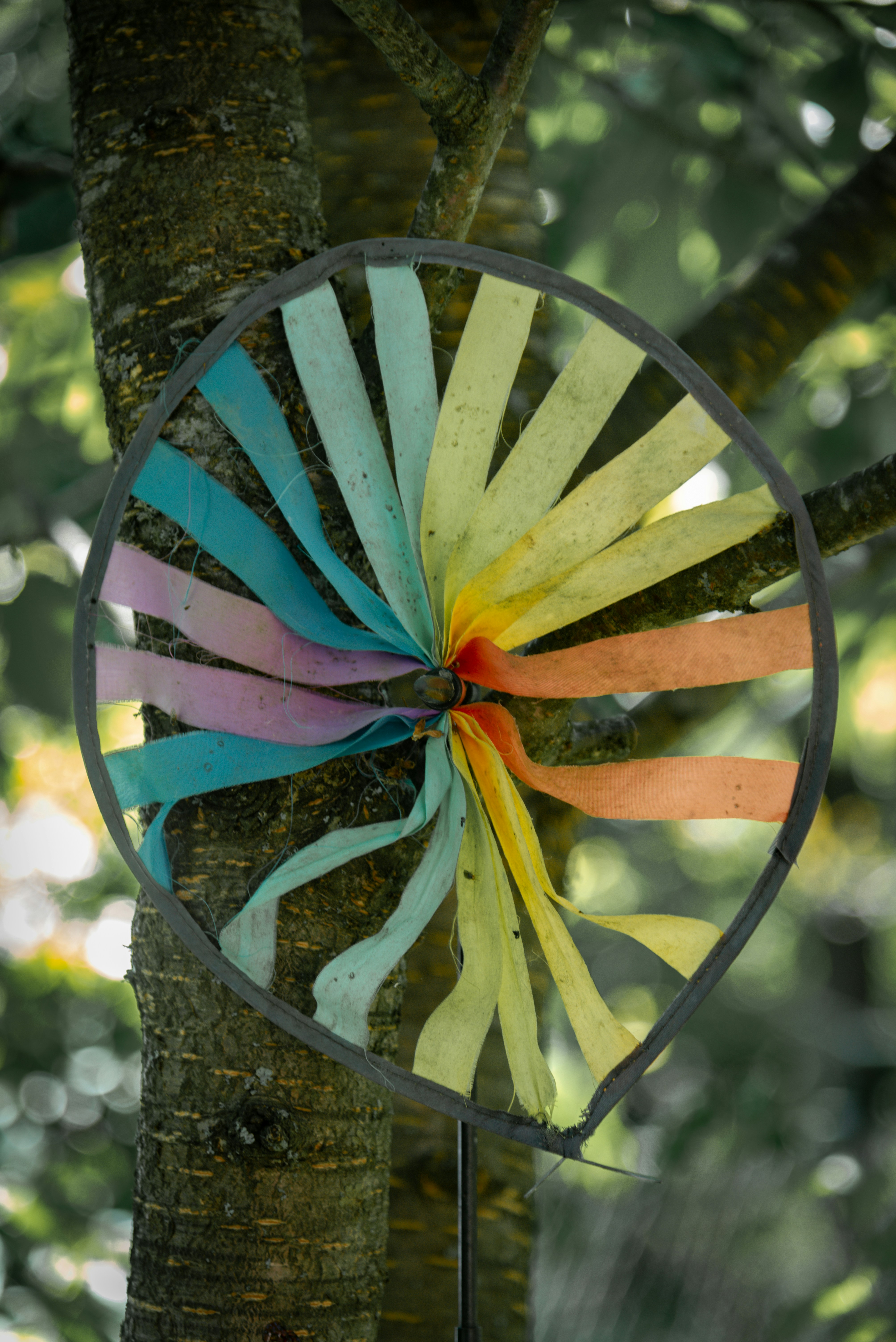 Colorful Ribbon Wind-Spinner Wrapped Around a Tree Trunk