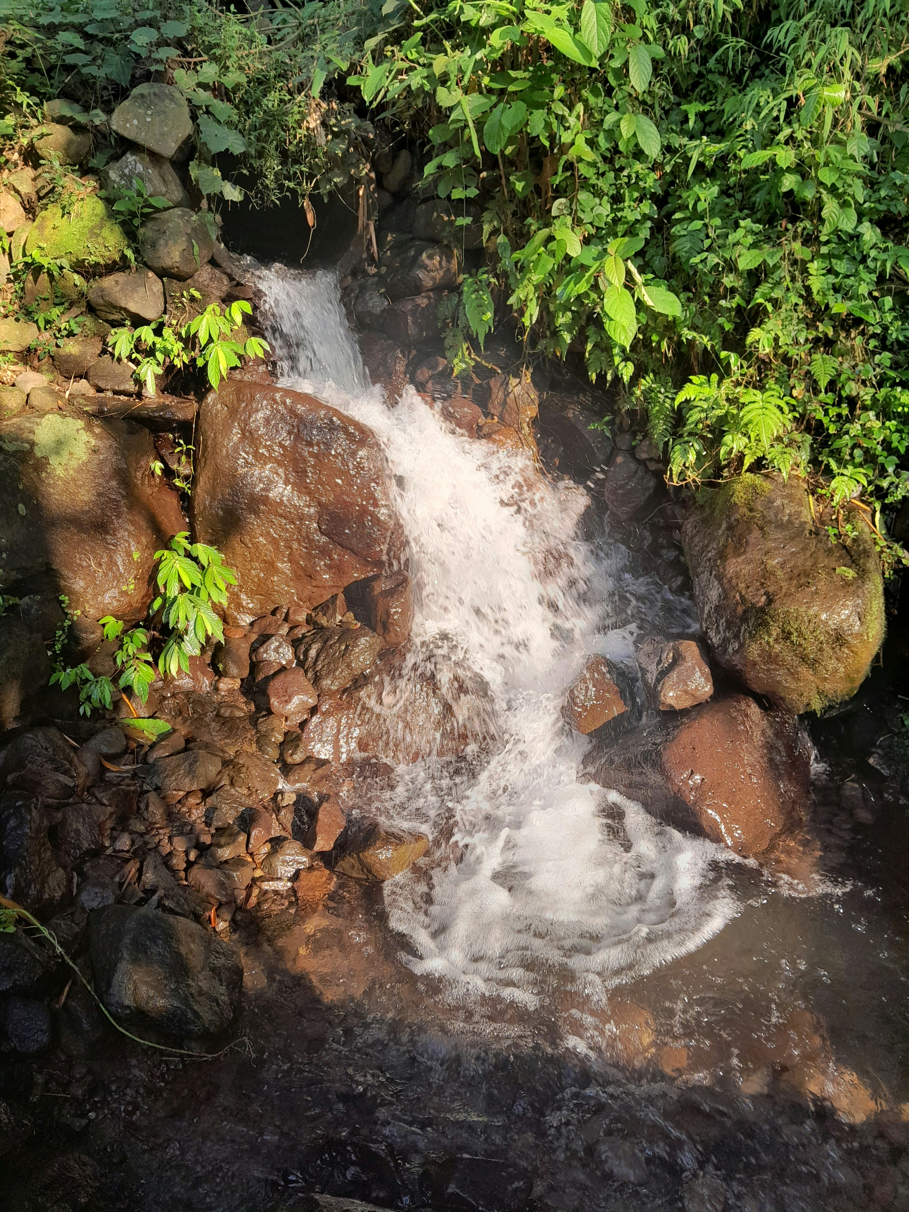 A serene waterfall cascading over rocks, surrounded by lush greenery. The water sparkles in the sunlight, creating a tranquil atmosphere.