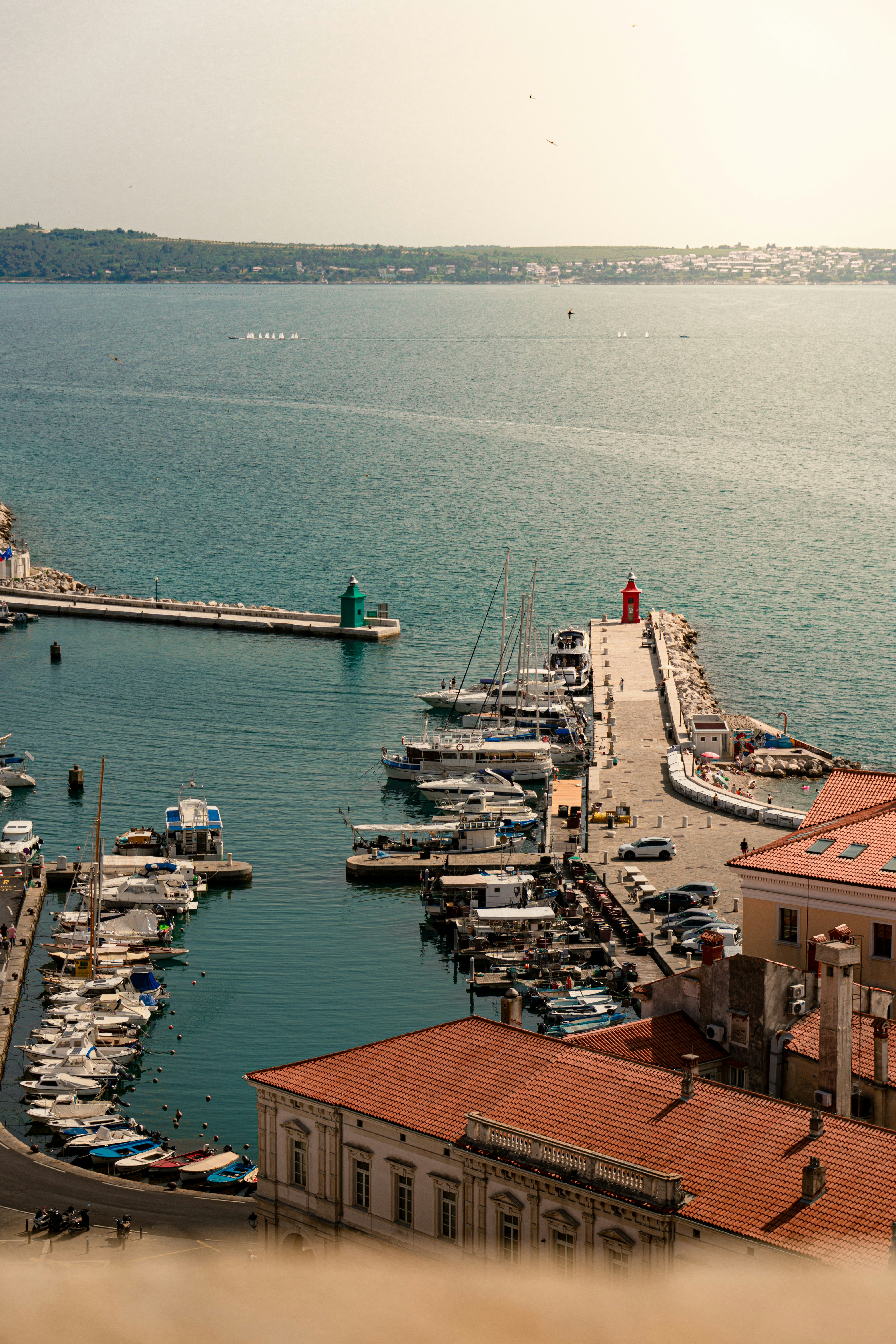 Harbor Harmony: A Coastal Symphony