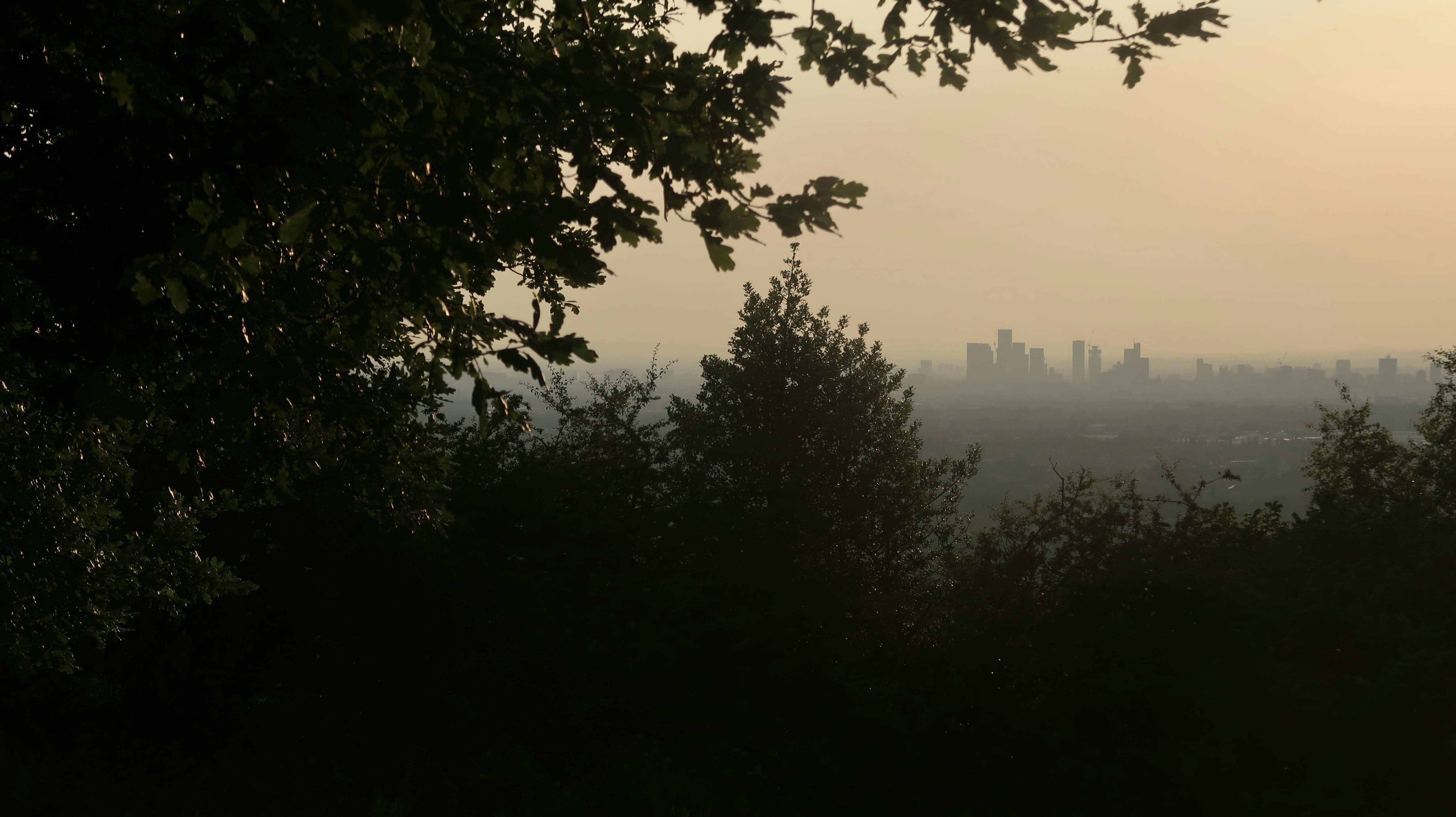 Whispers of the Distant Skyline
