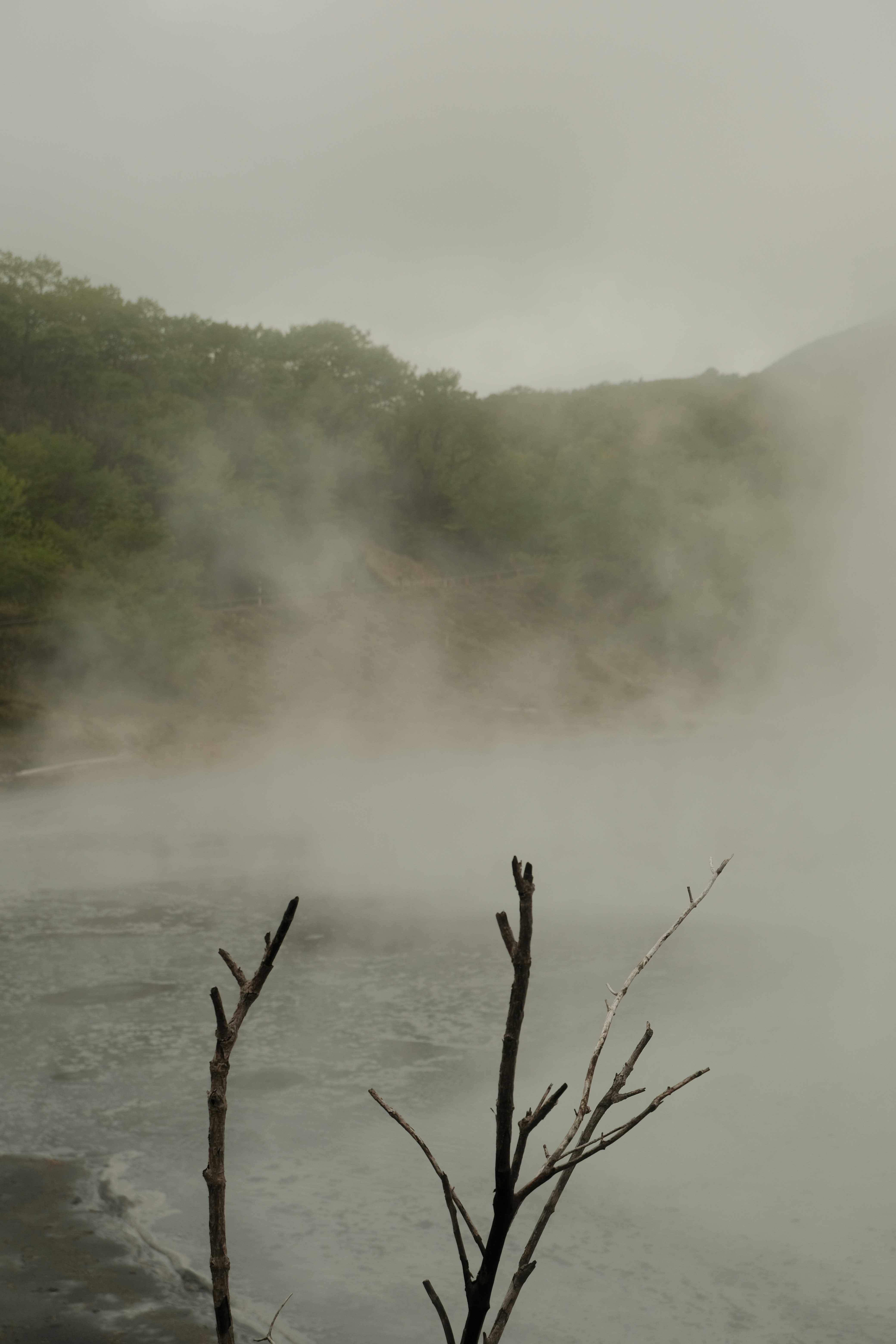 Whispers of the Earth: A Misty Thermal Landscape