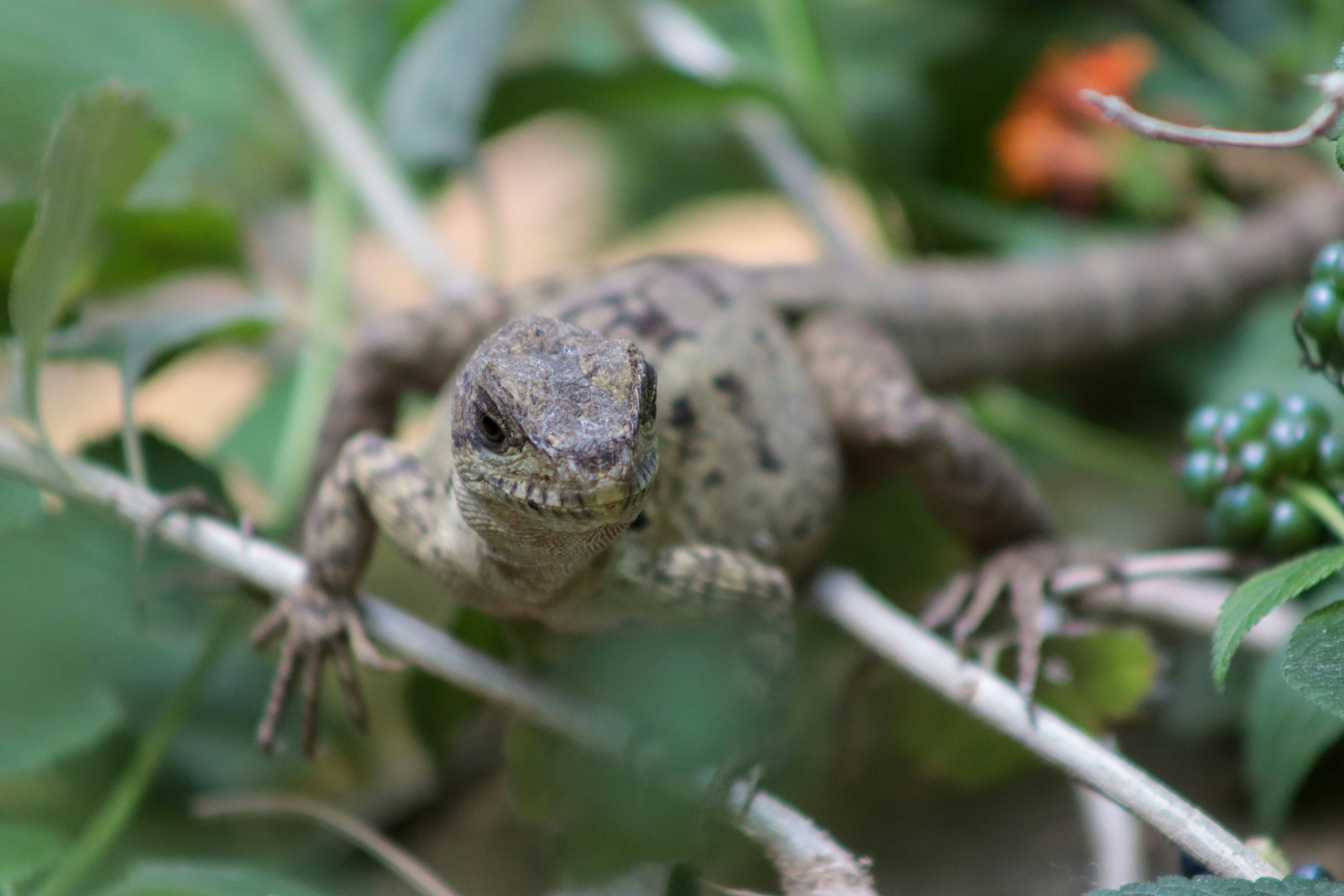 Kirsten C. (@kccreations) | Comunidade de fotos da Unsplash