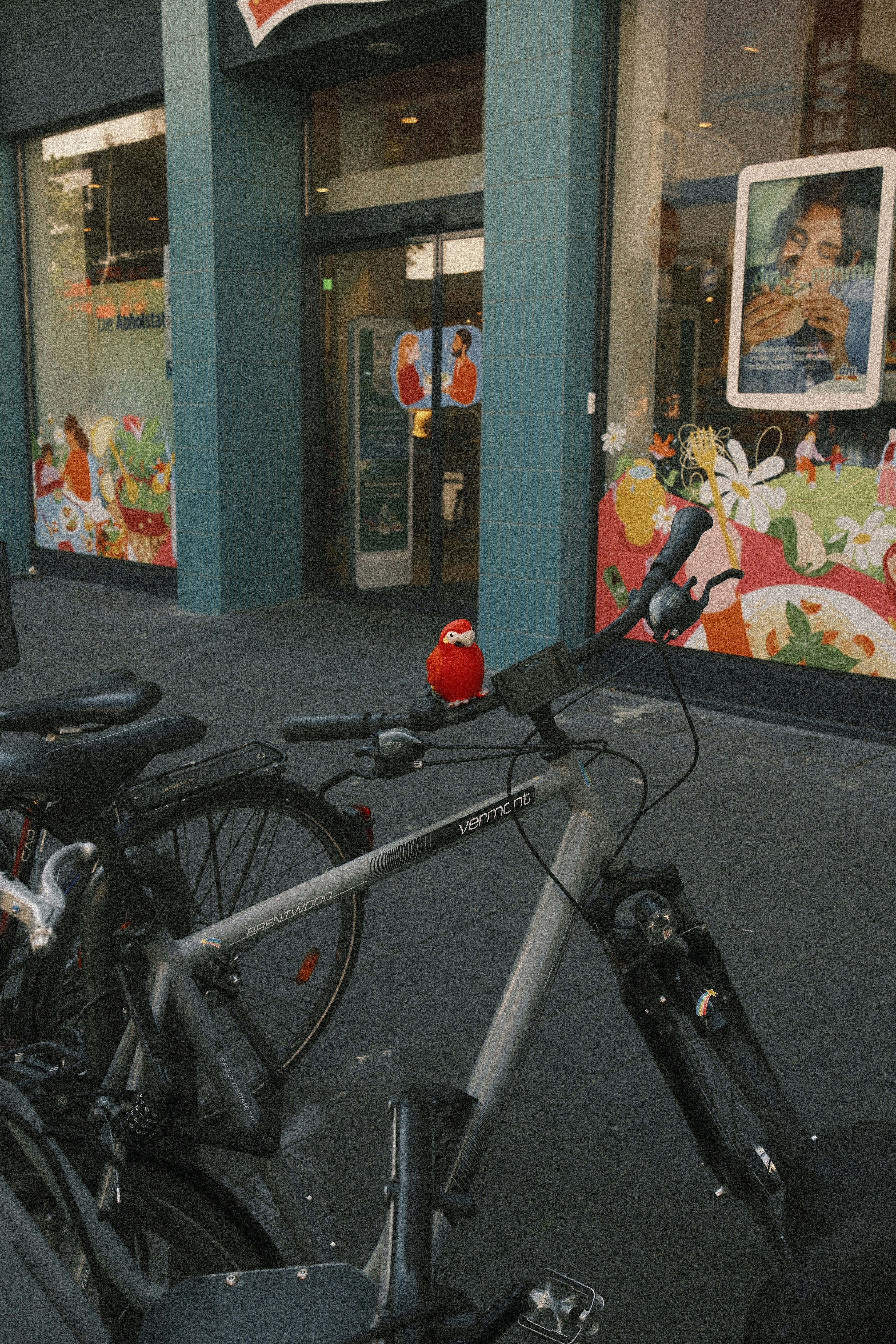 The Quirky Companion: A Bicycle's Playful Adornment