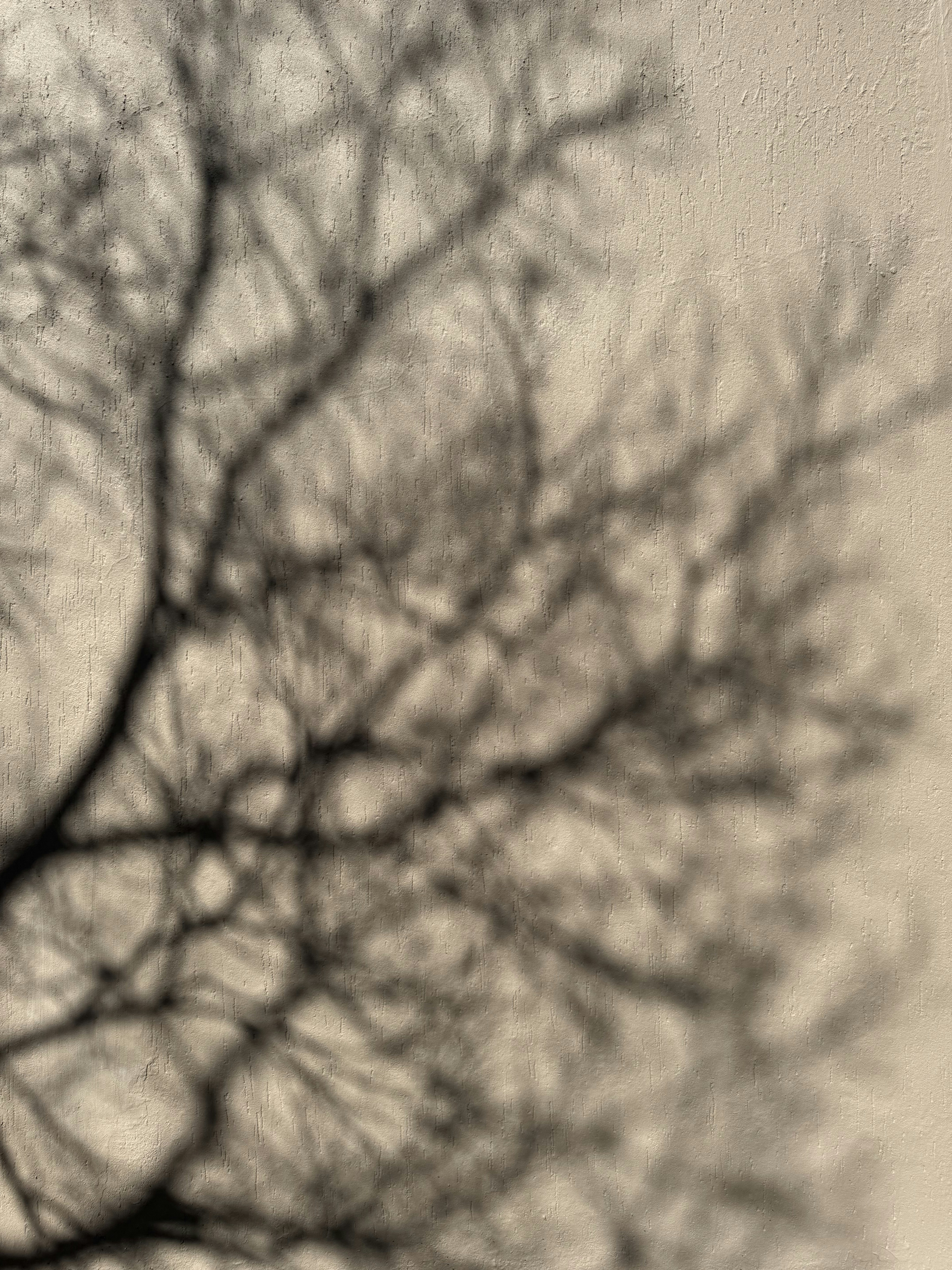 Jonathan Burger (@jonathanburger) | Communauté photos Unsplash