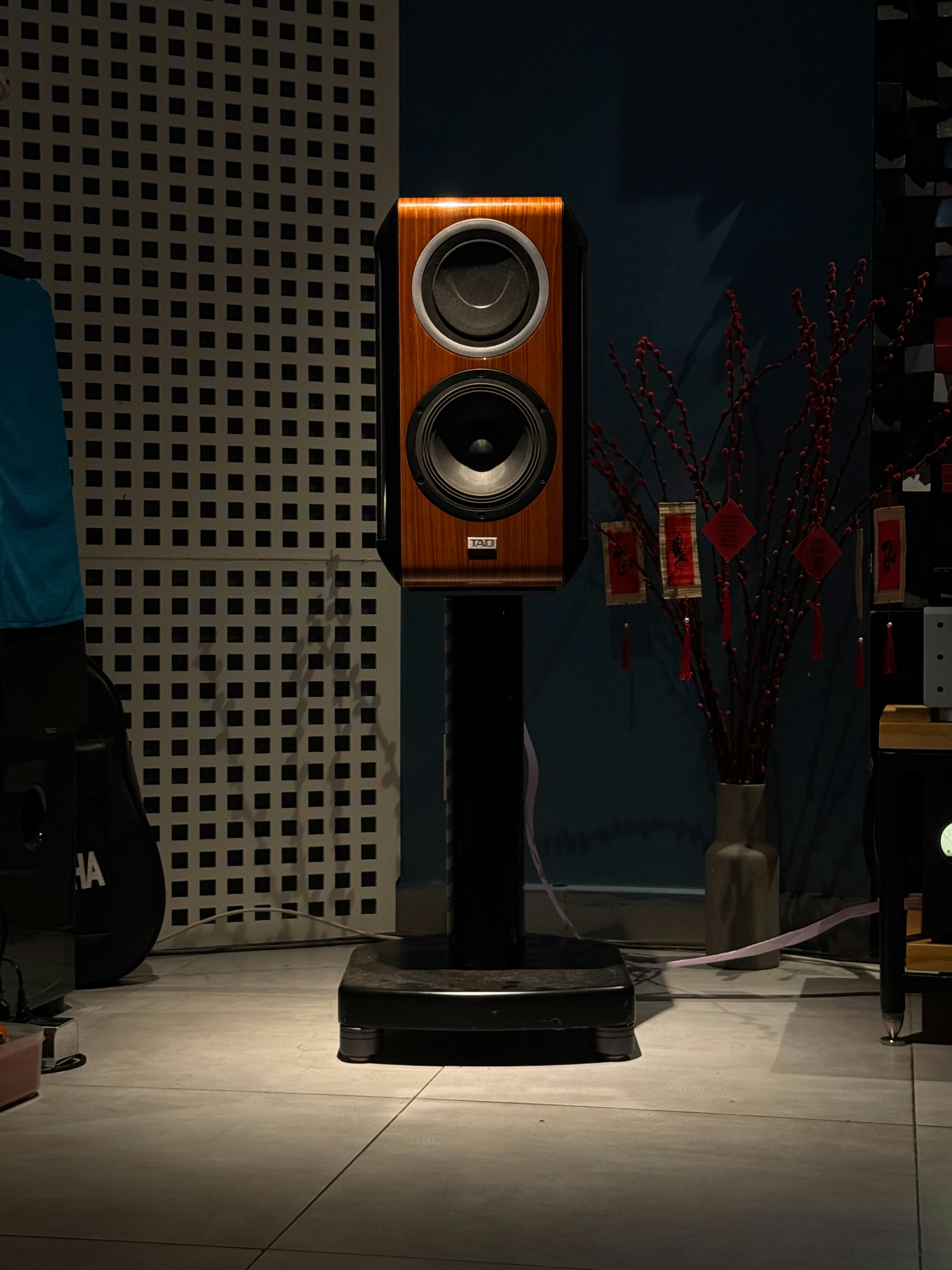 Echoes of Elegance: The Standout Speaker