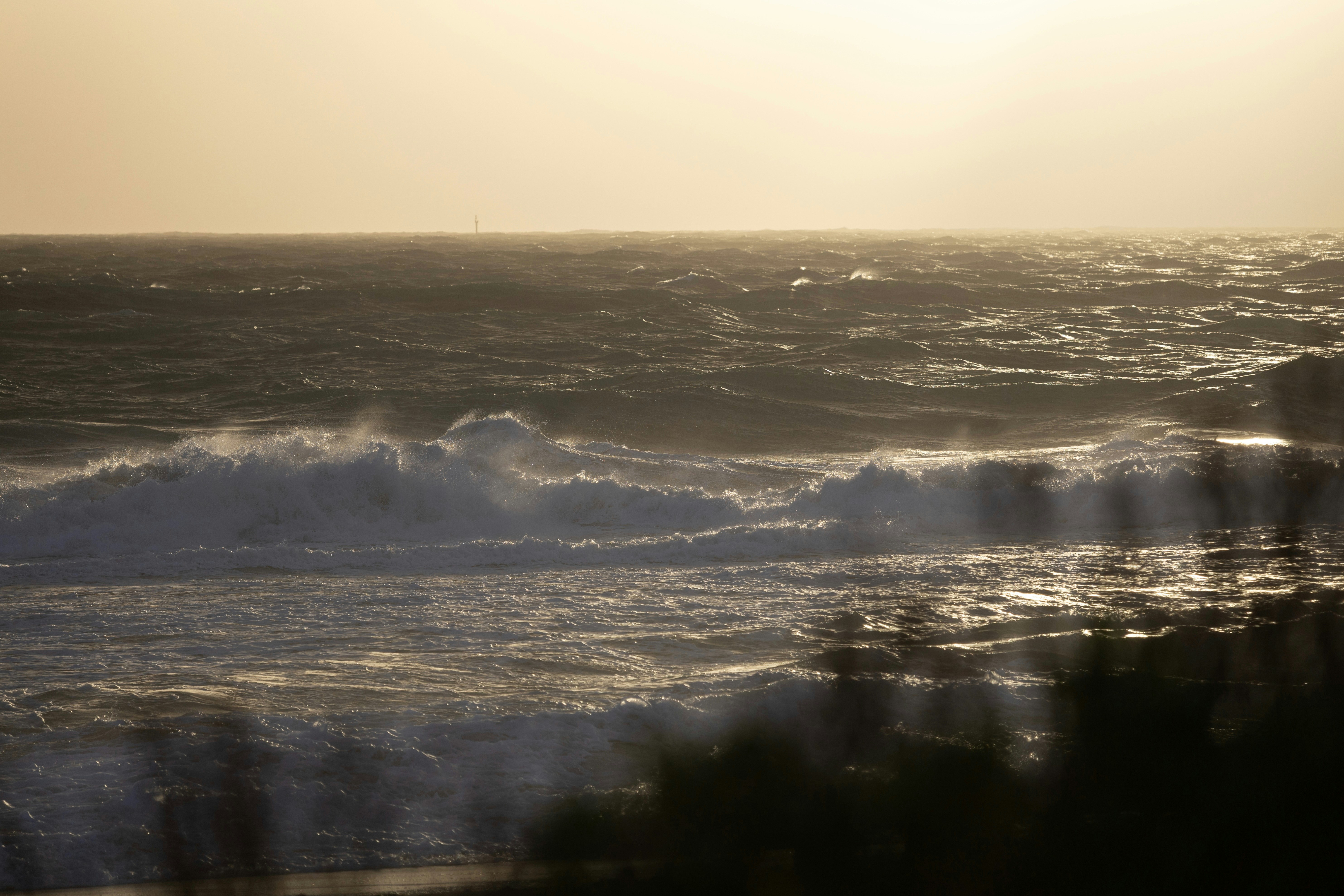 Whispers of the Ocean's Fury