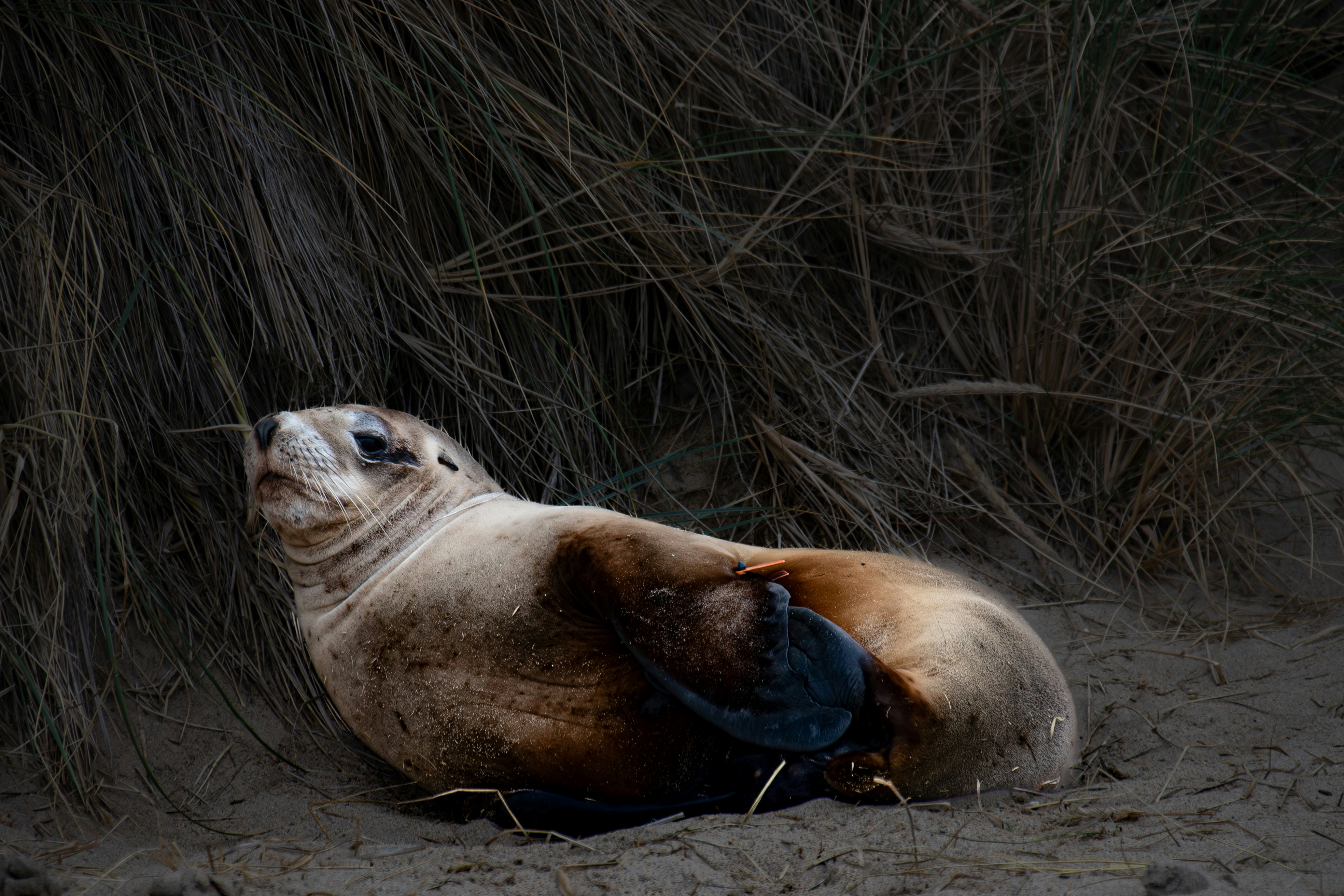 Photo by Nik Schmidt with Nikon D750