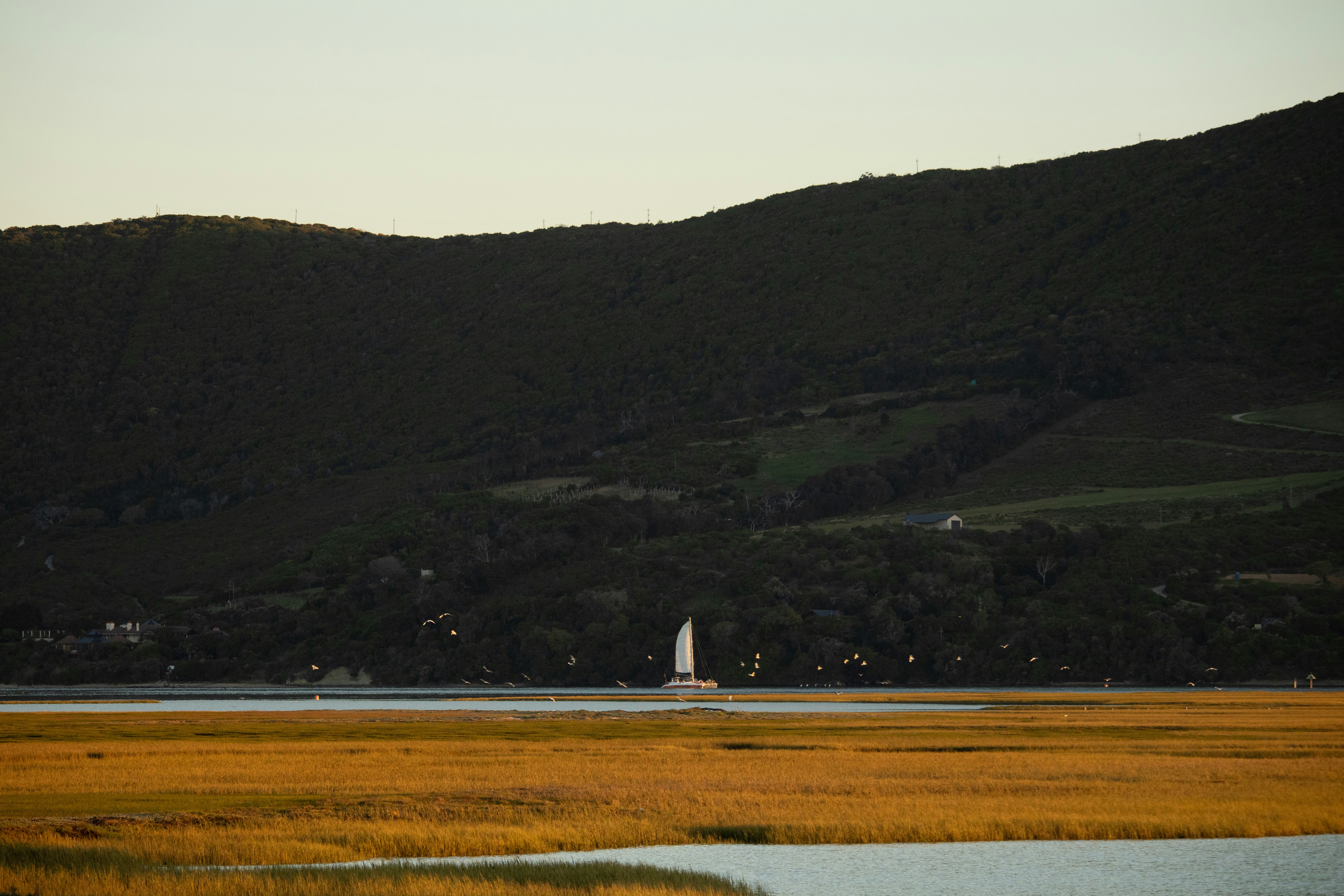 Sailing Serenity at Dusk