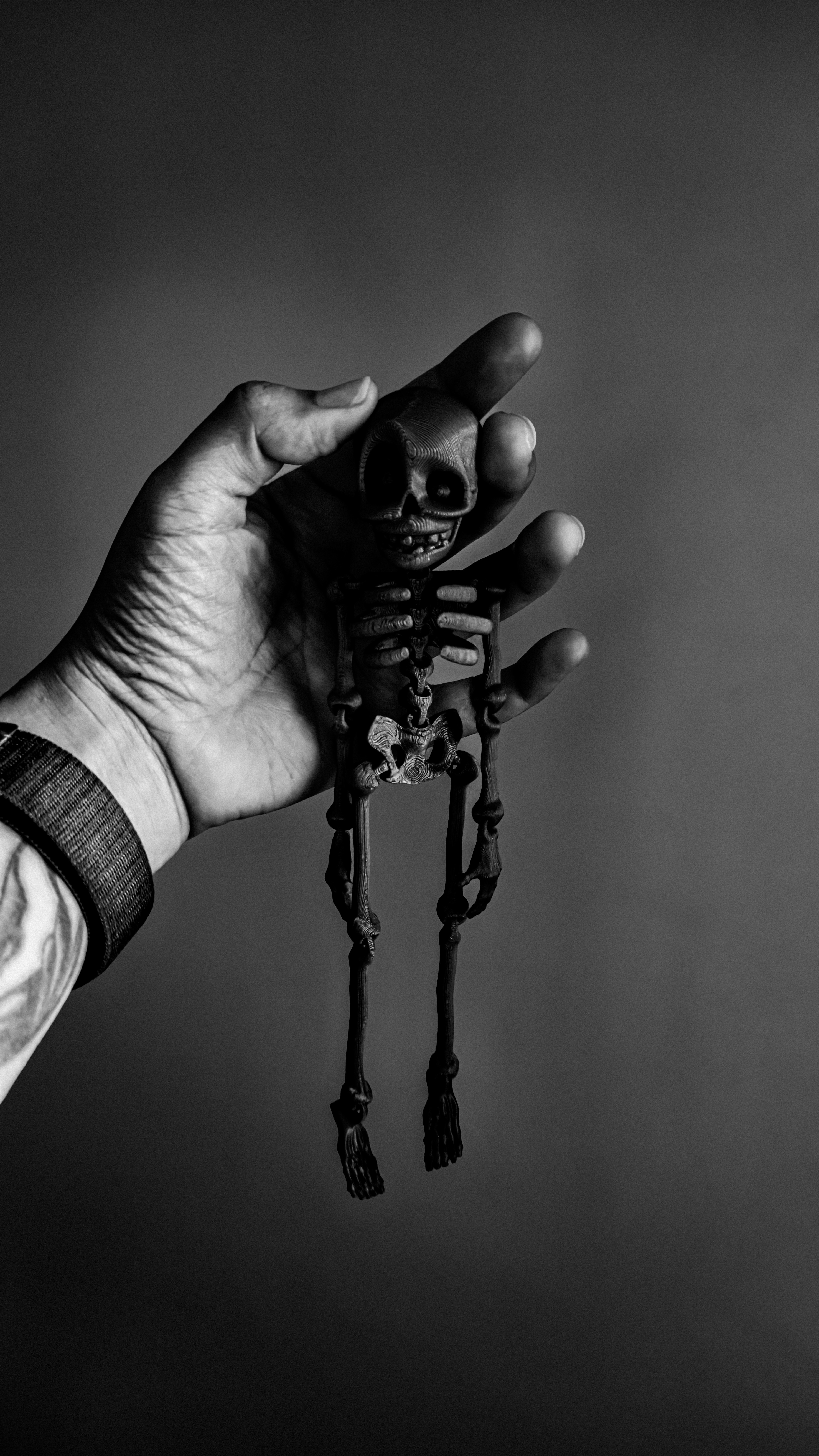 Whimsical Anatomy: A Playful Gesture