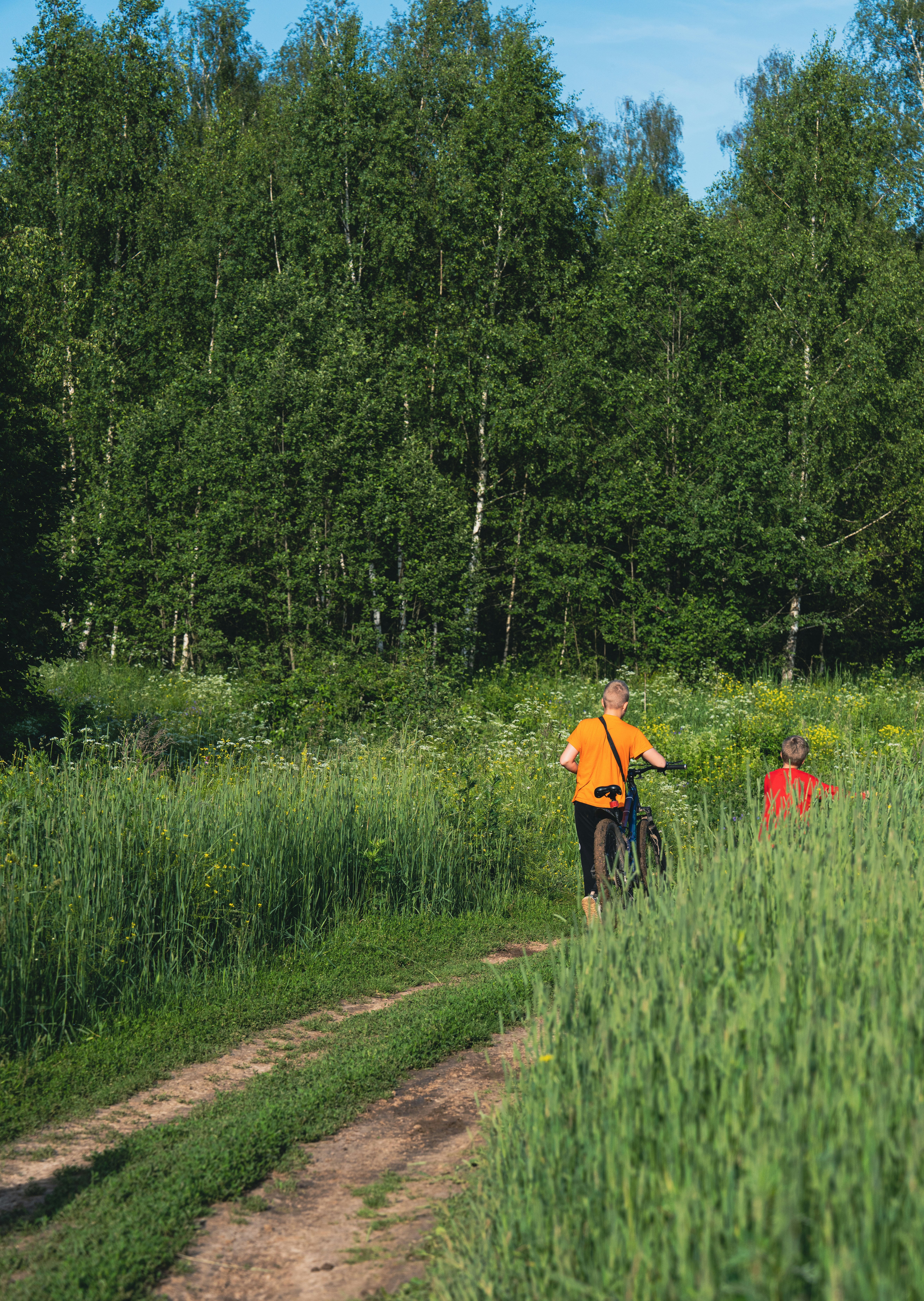 Journey Through Verdant Trails