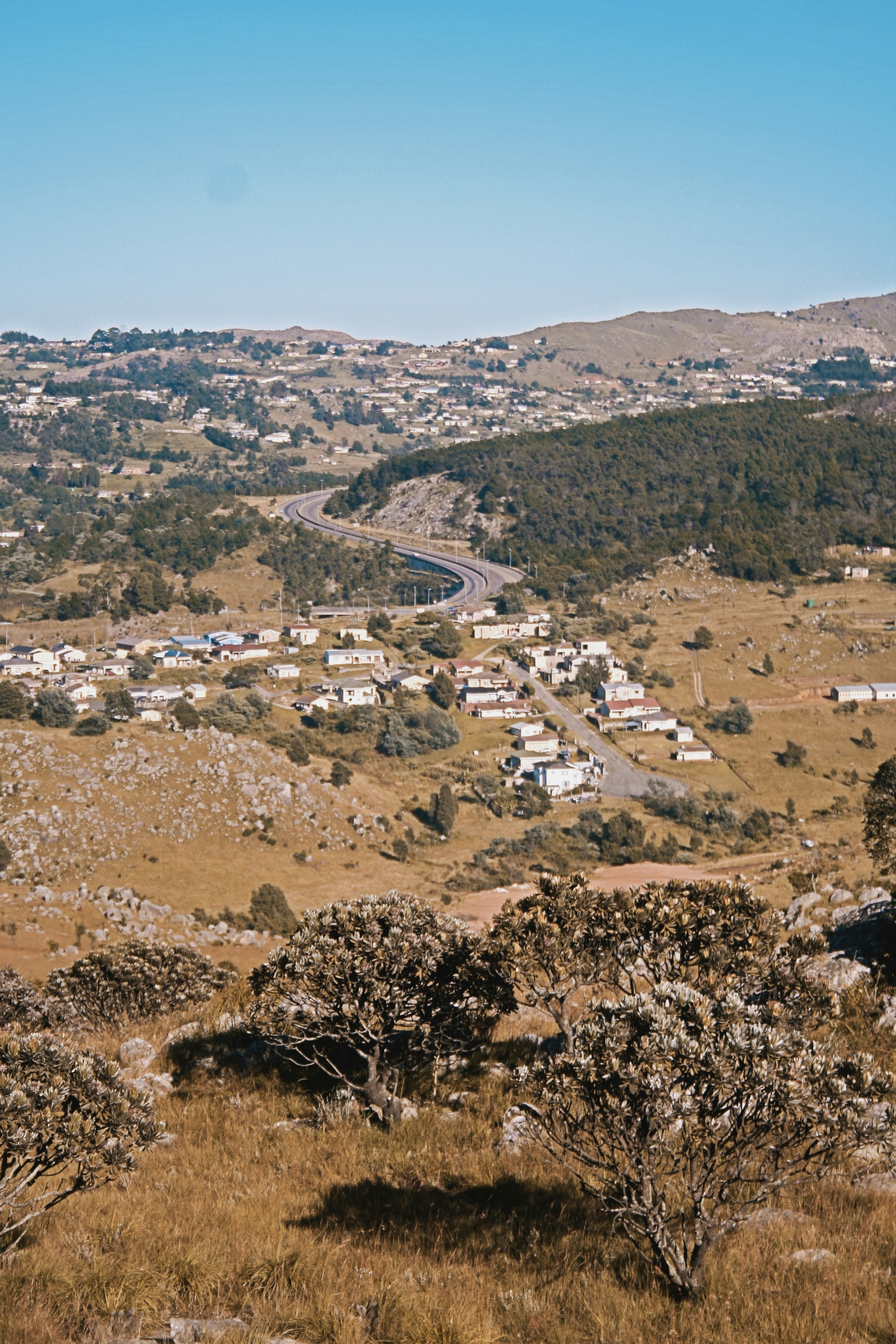 A panoramic view of a winding road cutting through a serene landscape dotted with small homes and lush greenery. The scene showcases the harmony between nature and human habitation.