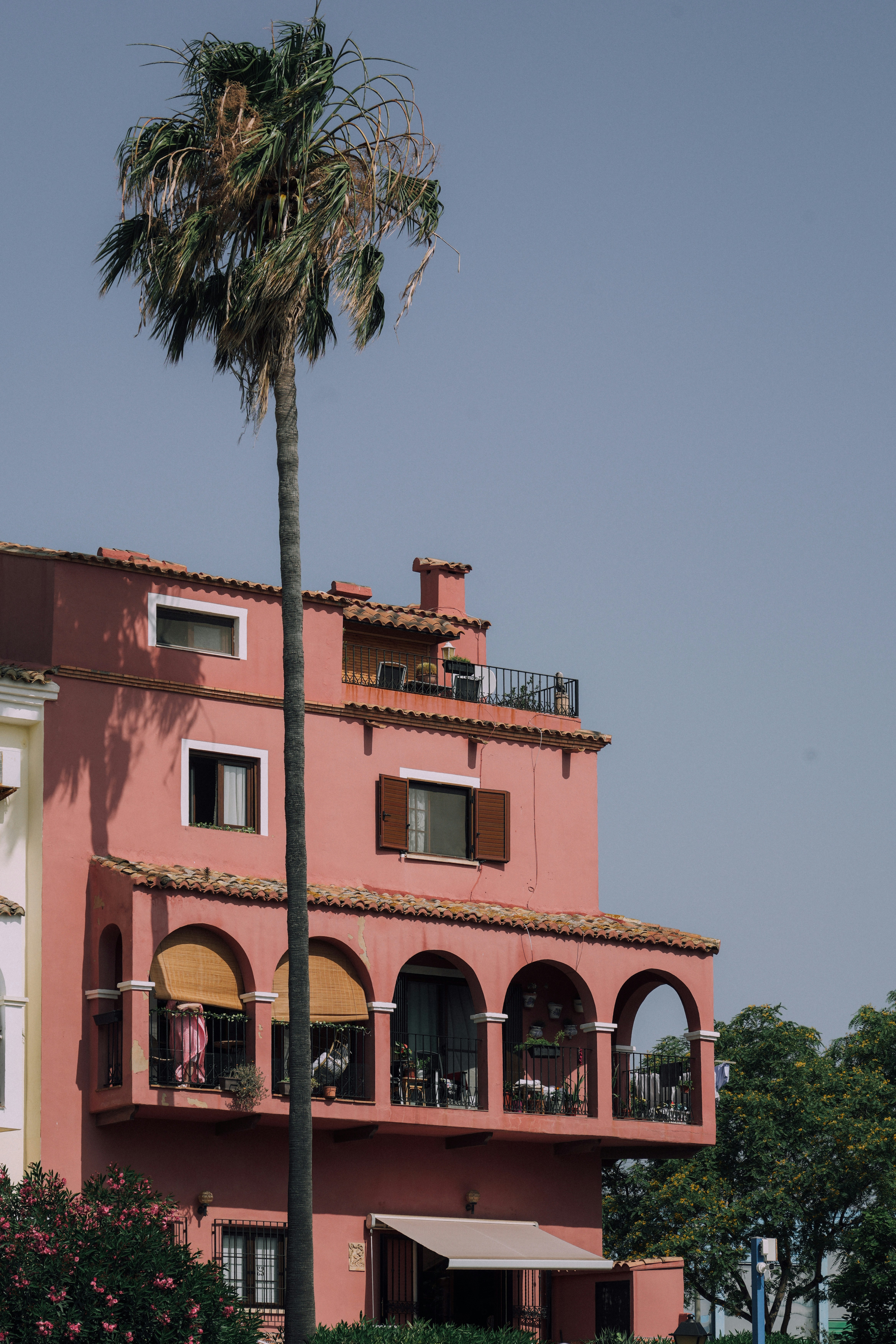Tropical Retreat: A Harmony of Color and Architecture