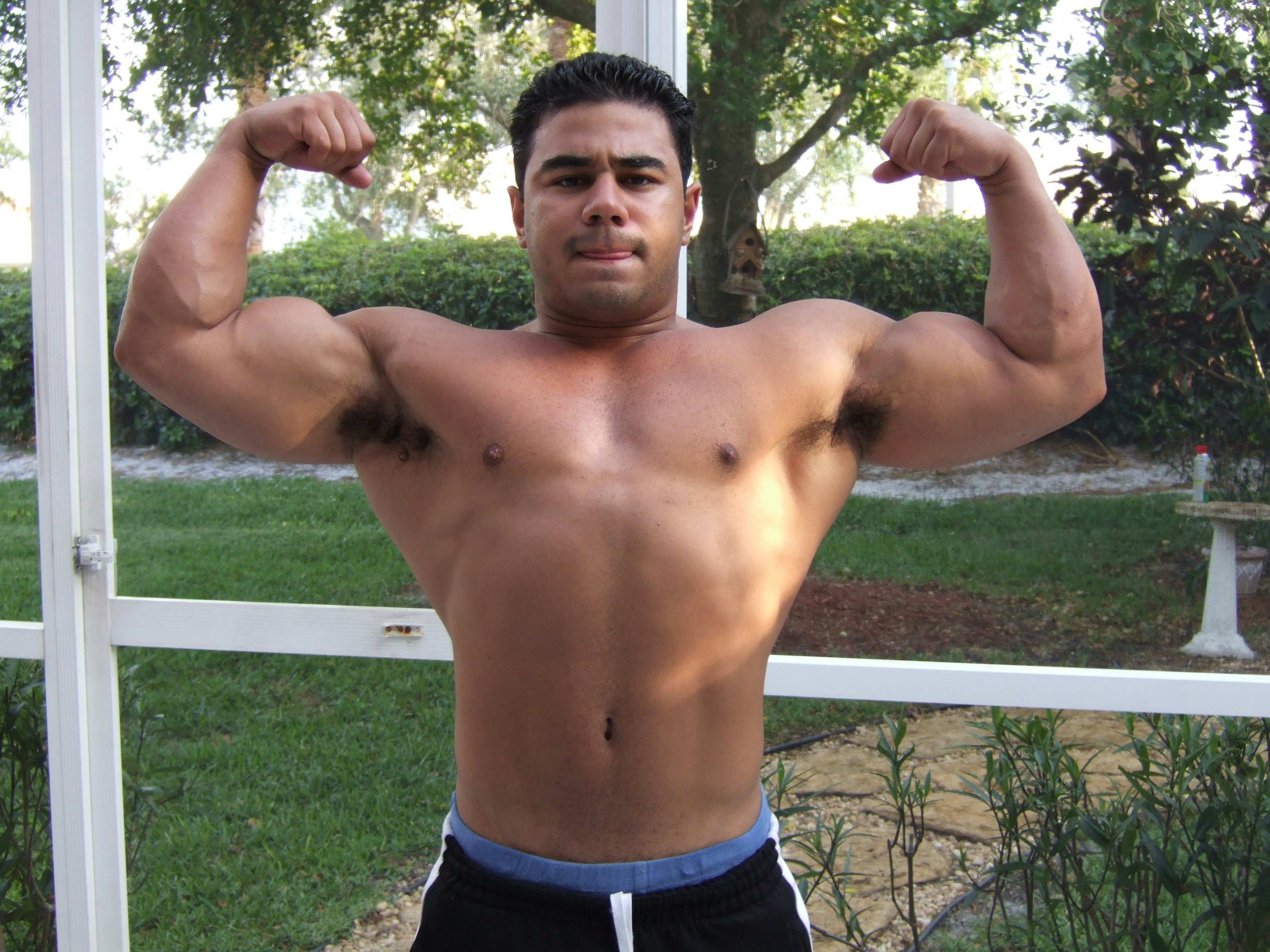 Man flexes his biceps, showing his muscles. photo – Free Portrait Image ...