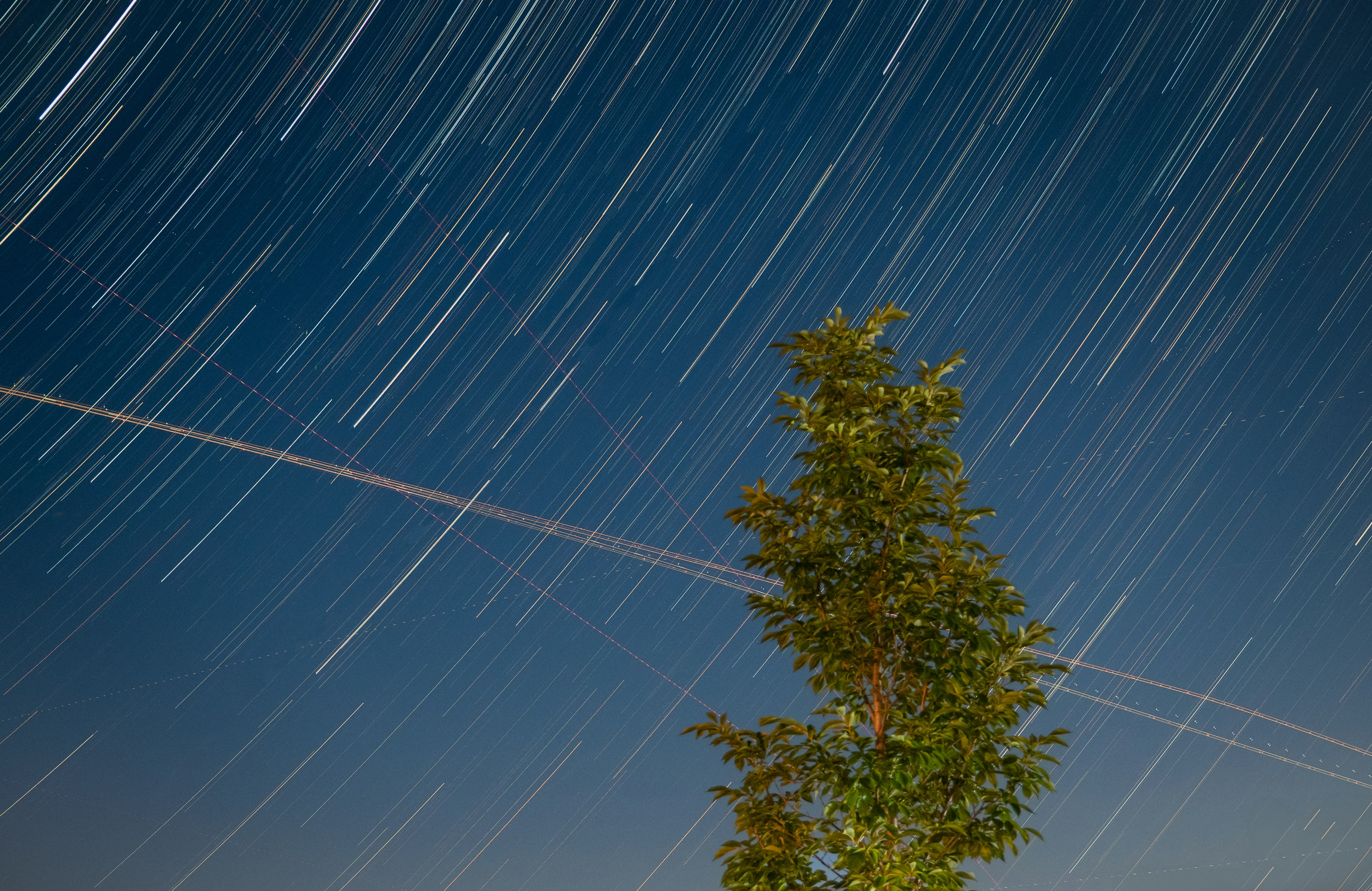 Star trails streak across the night sky.