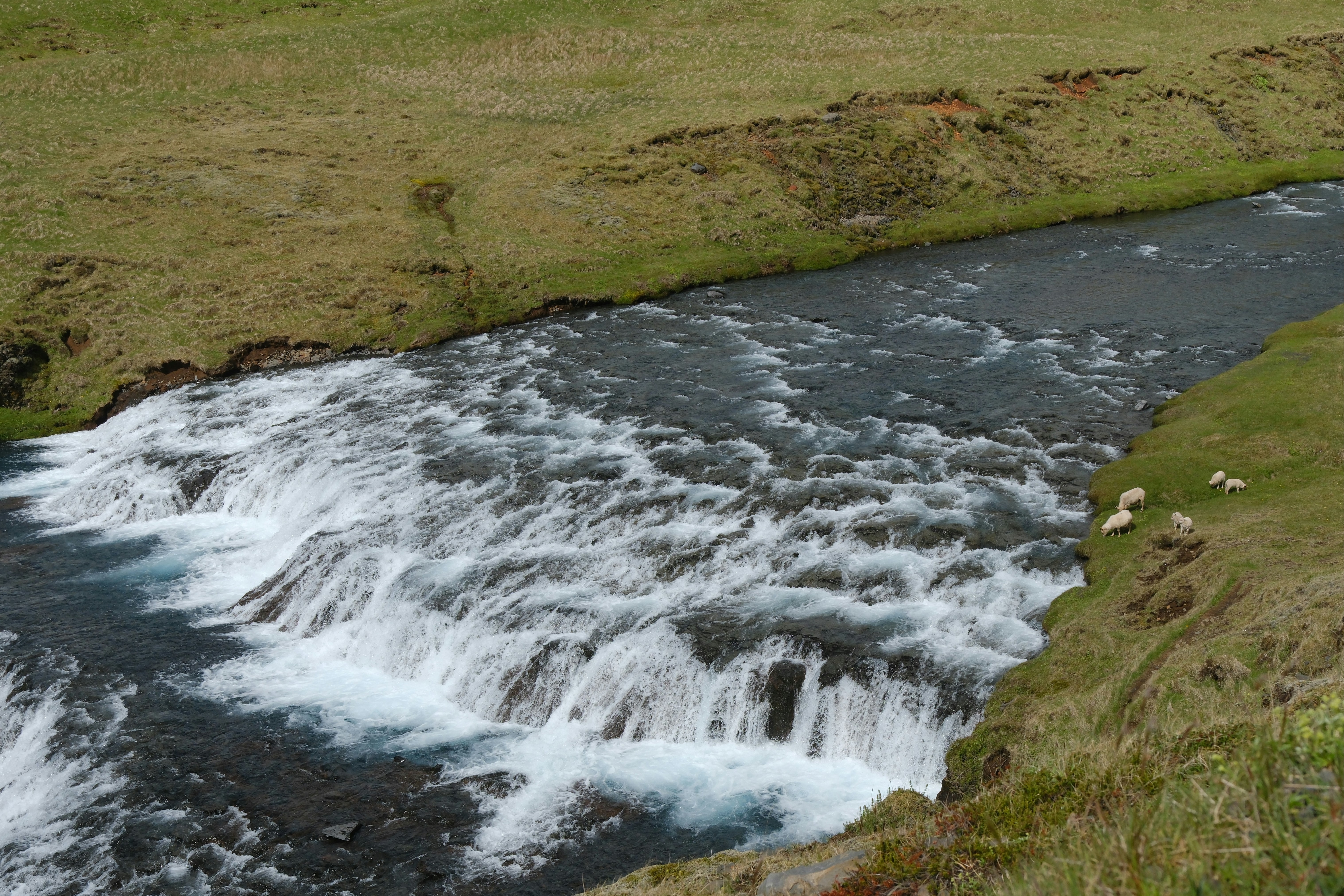 A rushing waterfall flows through grassy banks.