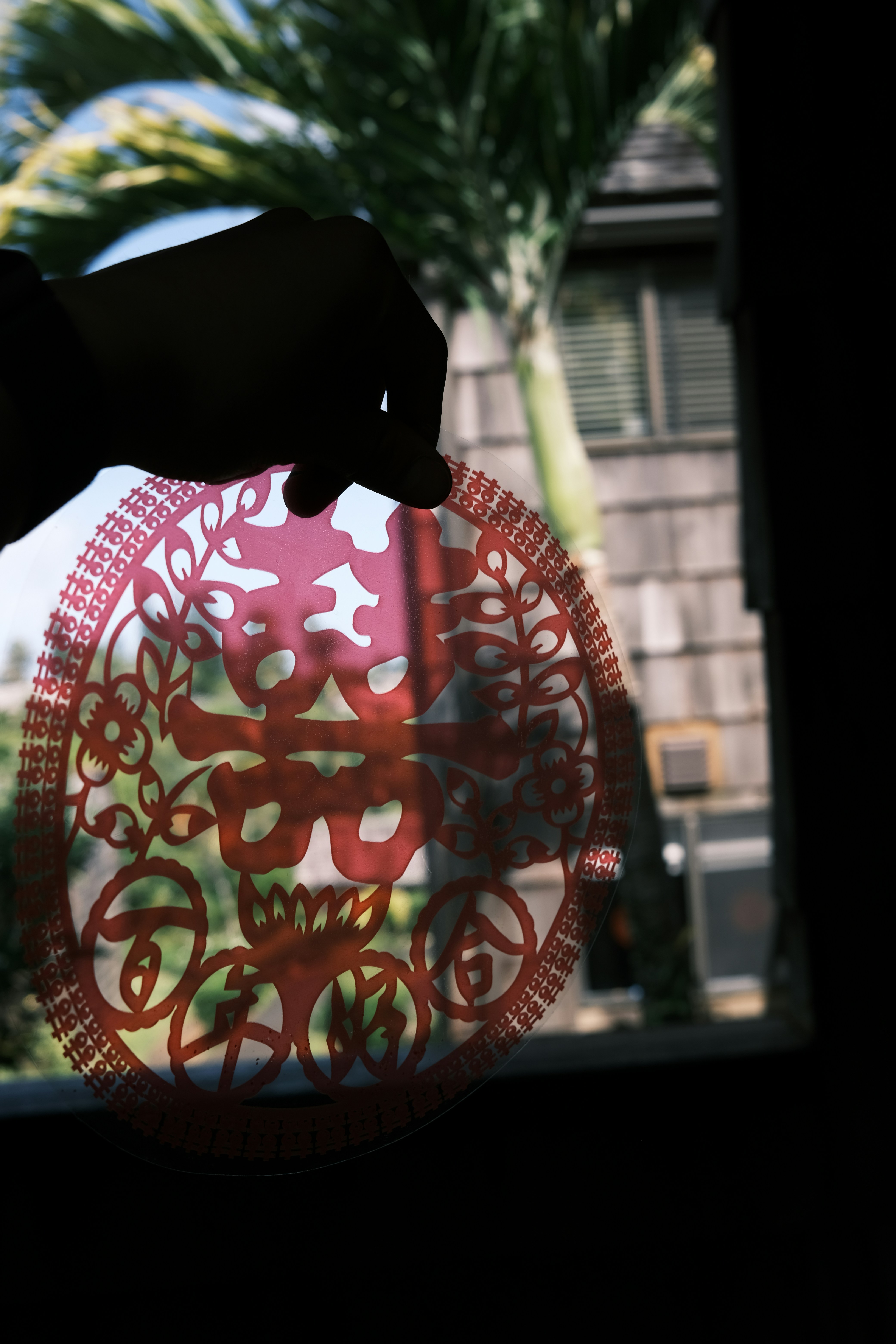 Circular Red Cutout: A Palm-Sheltered Glimpse Through Lantern-Like Paper