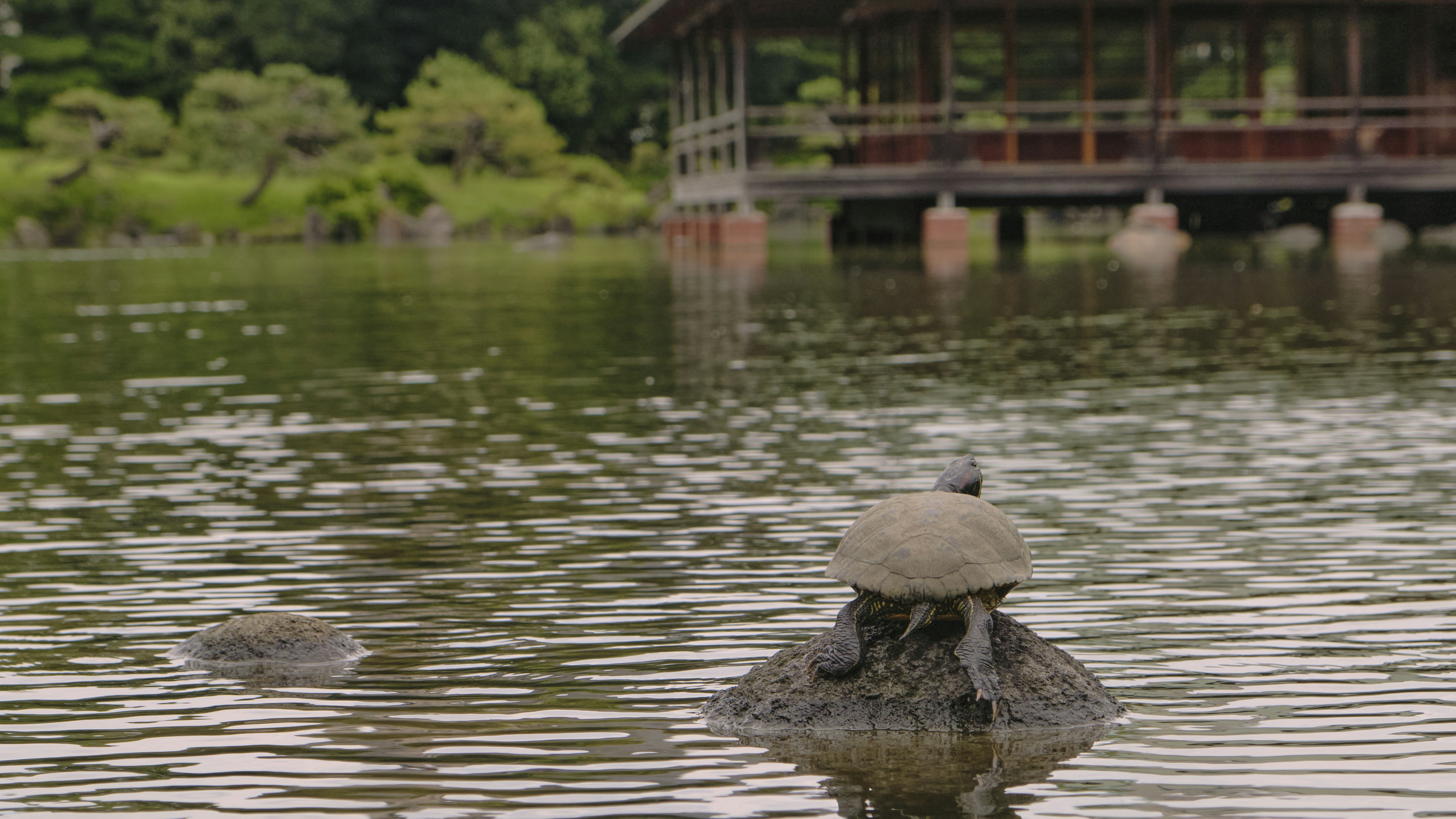 Photo by Nino Hille with Fujifilm X-T3