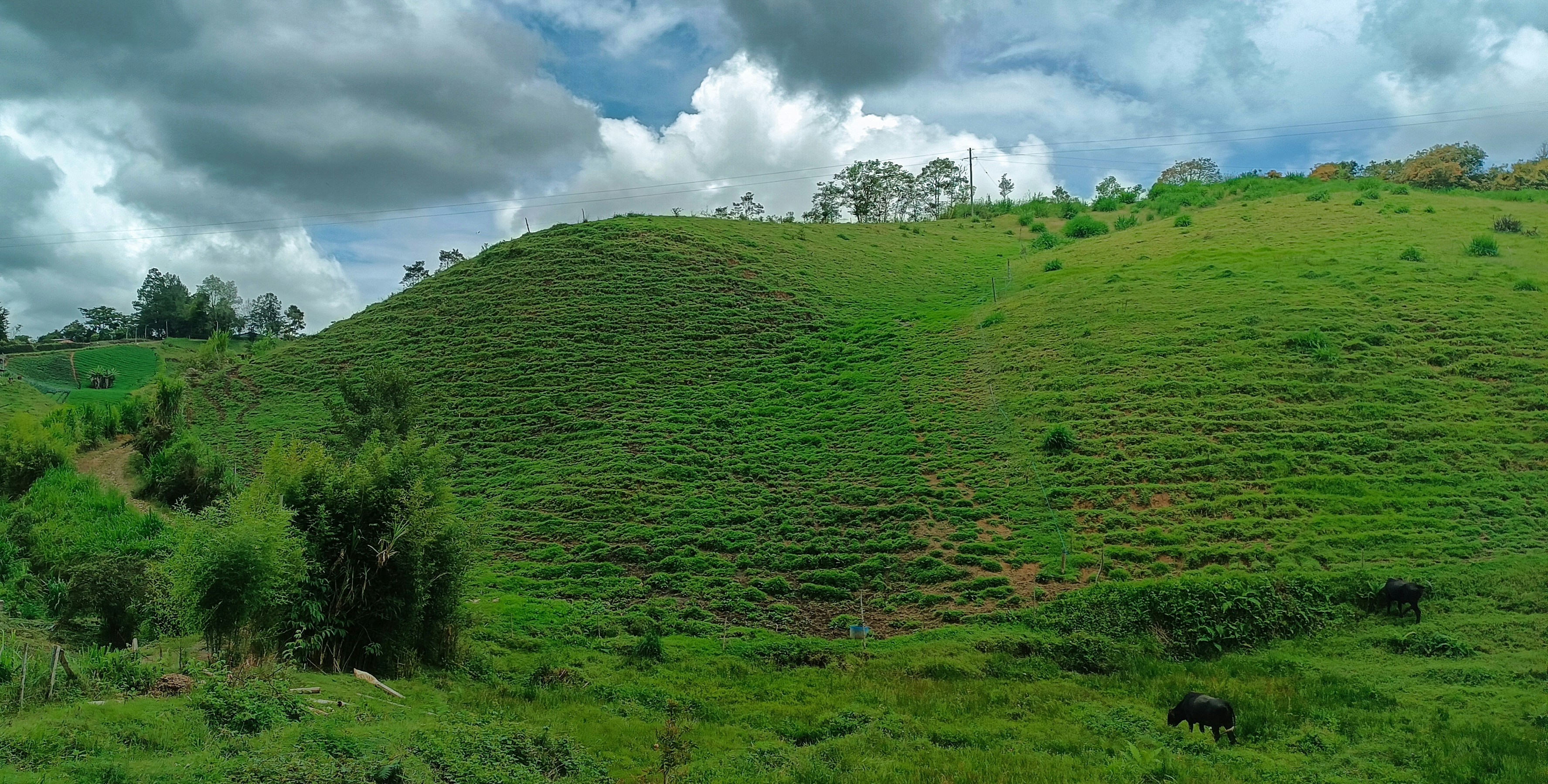 Lush green hills rolling under a dramatic sky, punctuated by scattered trees and patches of shadow. A serene landscape inviting exploration.