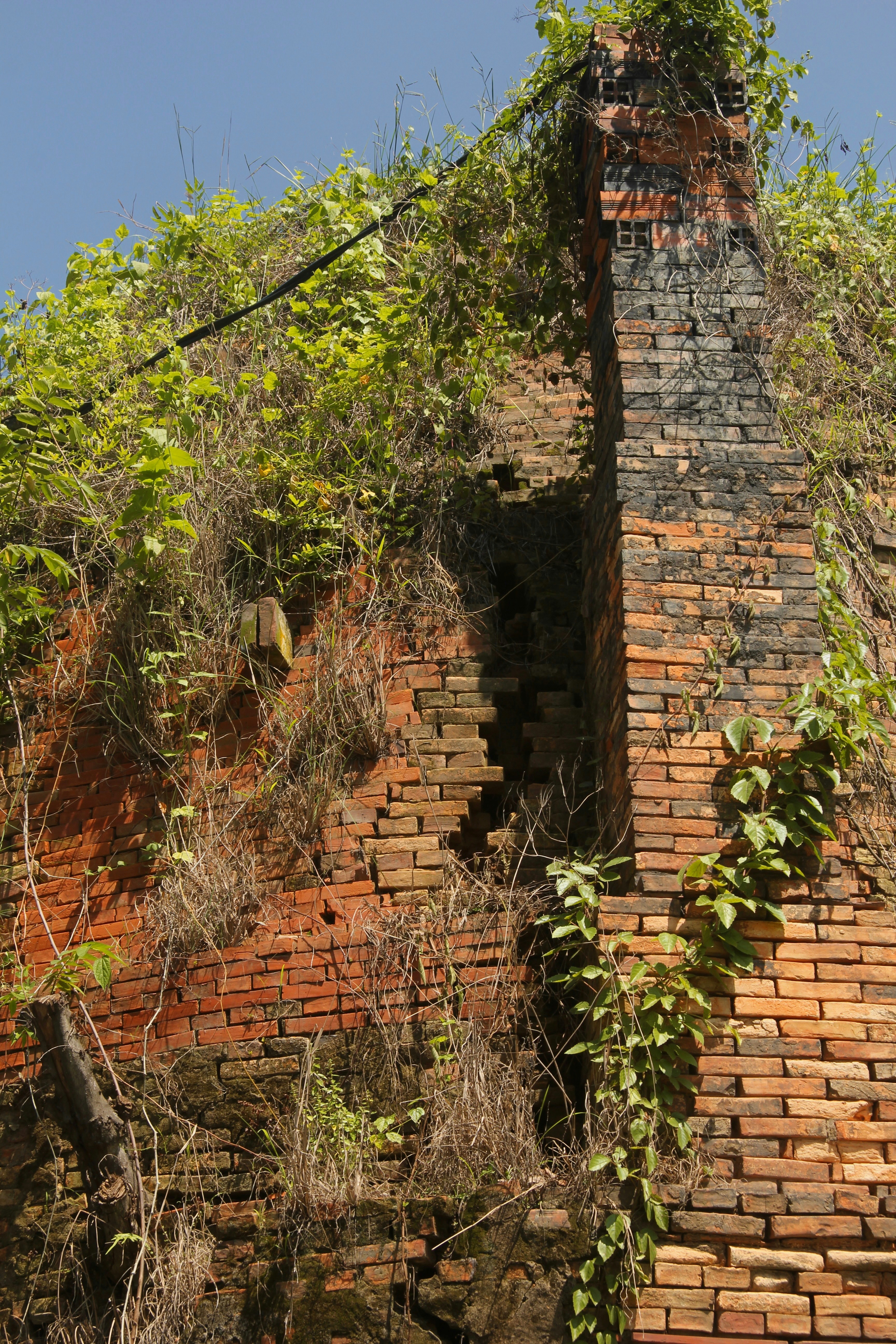 Nature's Embrace on Forgotten Brickwork