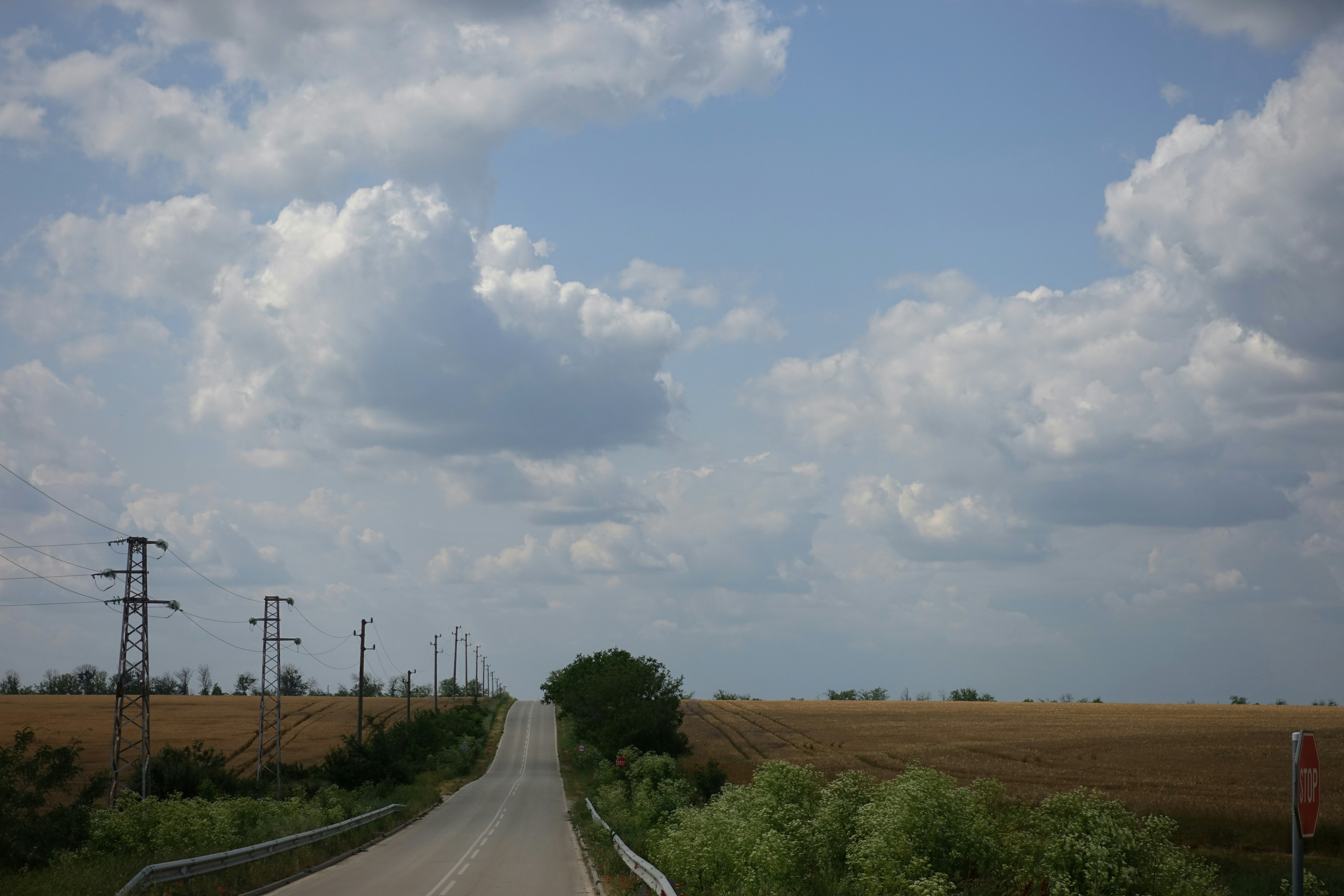 Journey Through the Open Fields