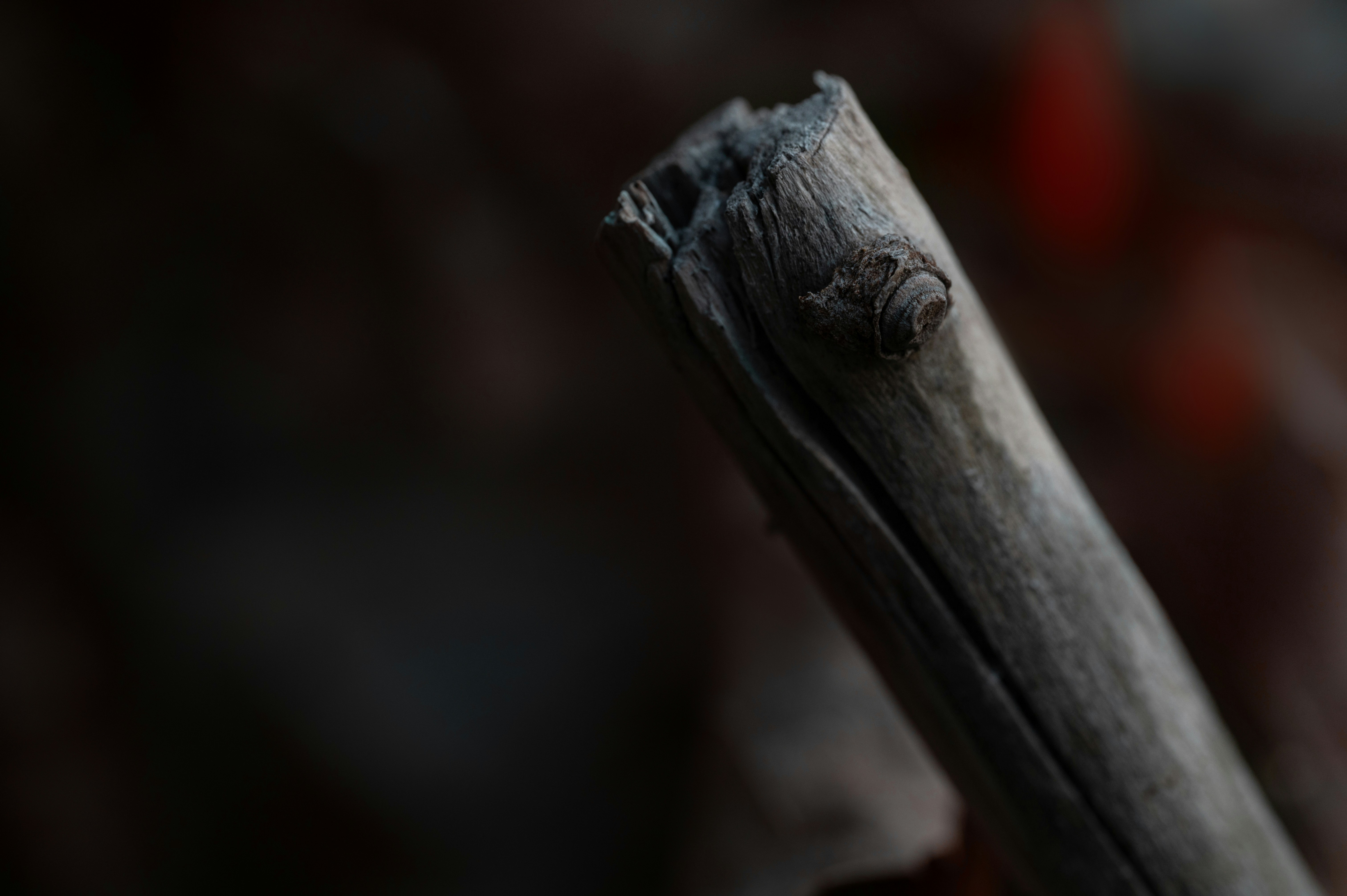 Wooden Stillness | A close-up of a burned stick.