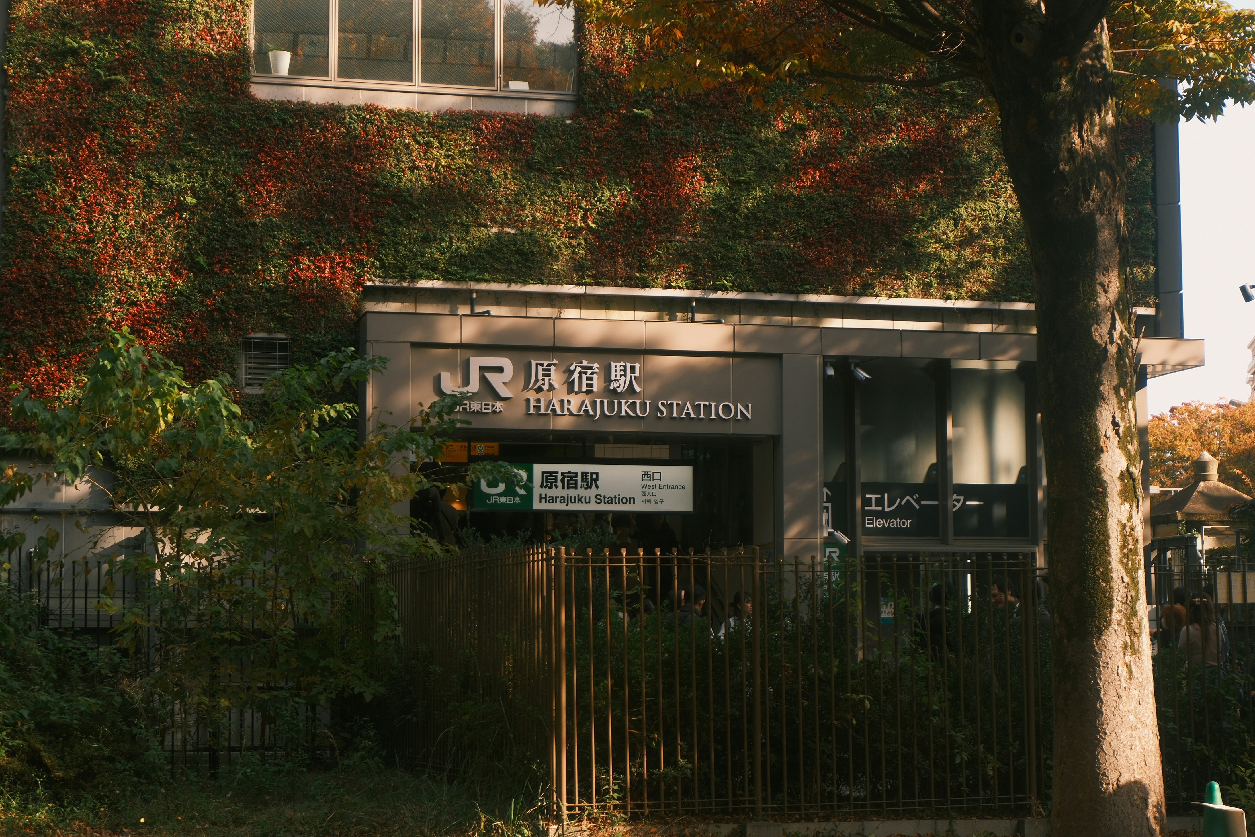 Airu (@airuphotograph) | Unsplash 사진 커뮤니티