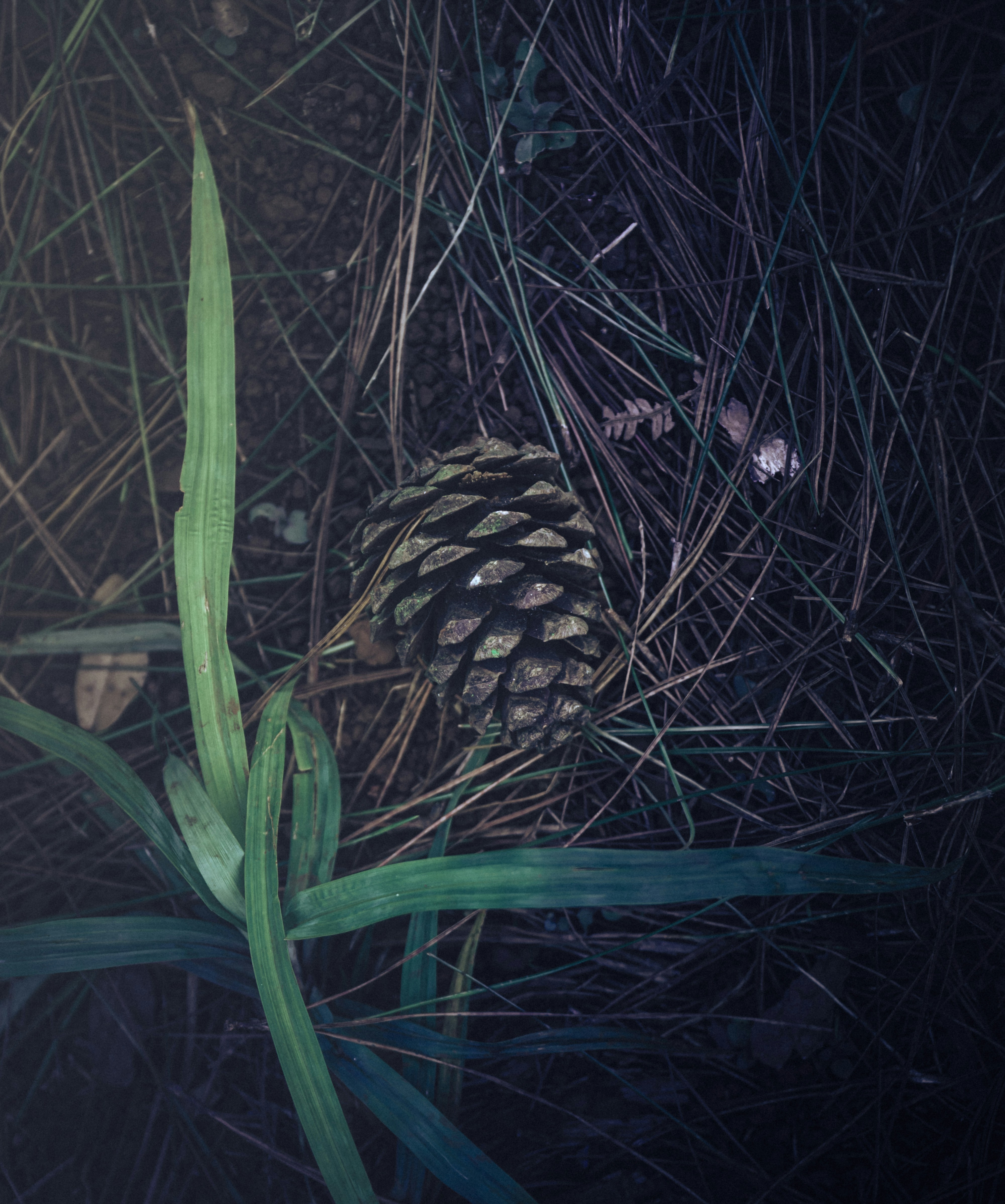 Photo by Zero with Sony Alpha 6000