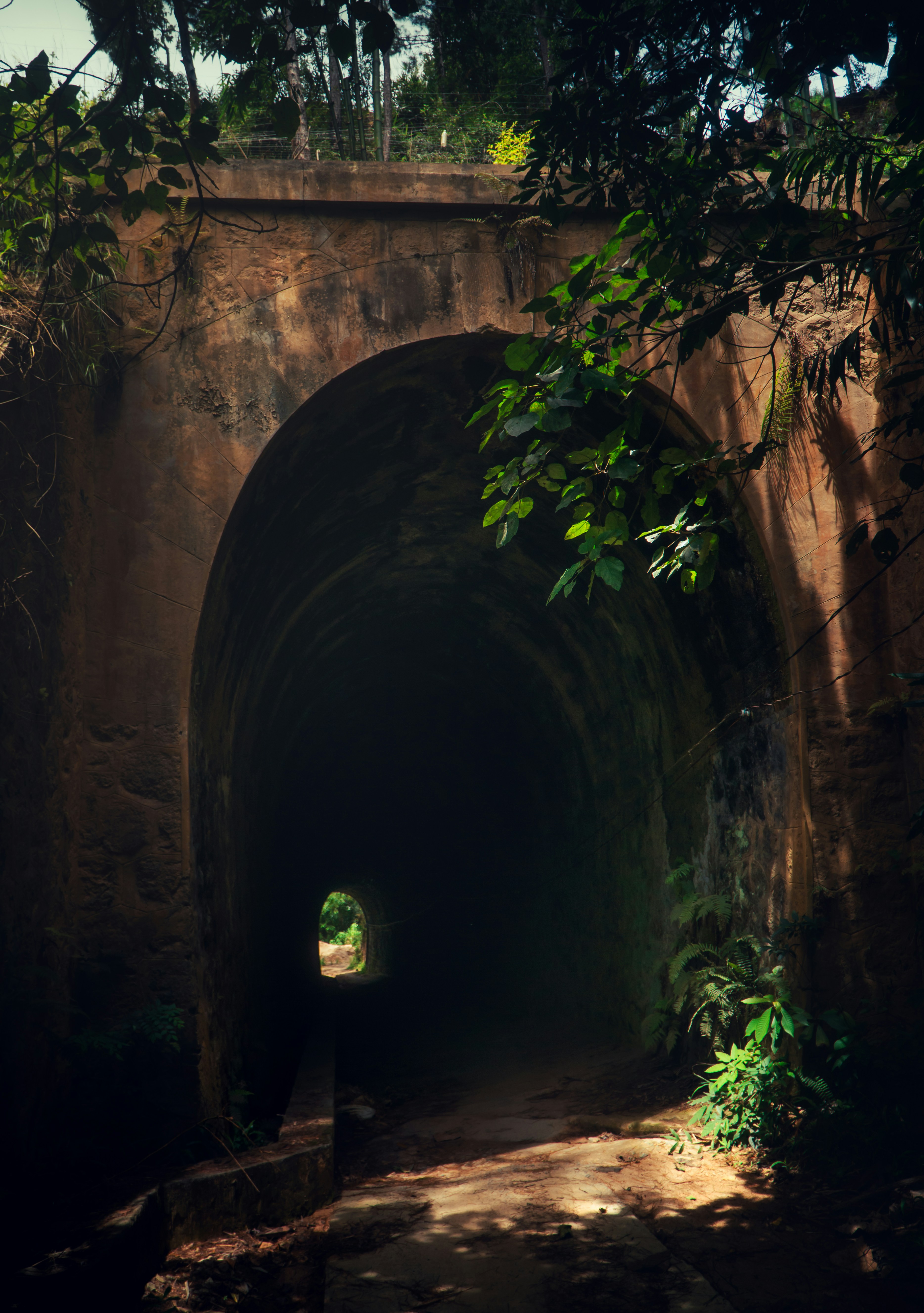 Whispers of the Forgotten Passage