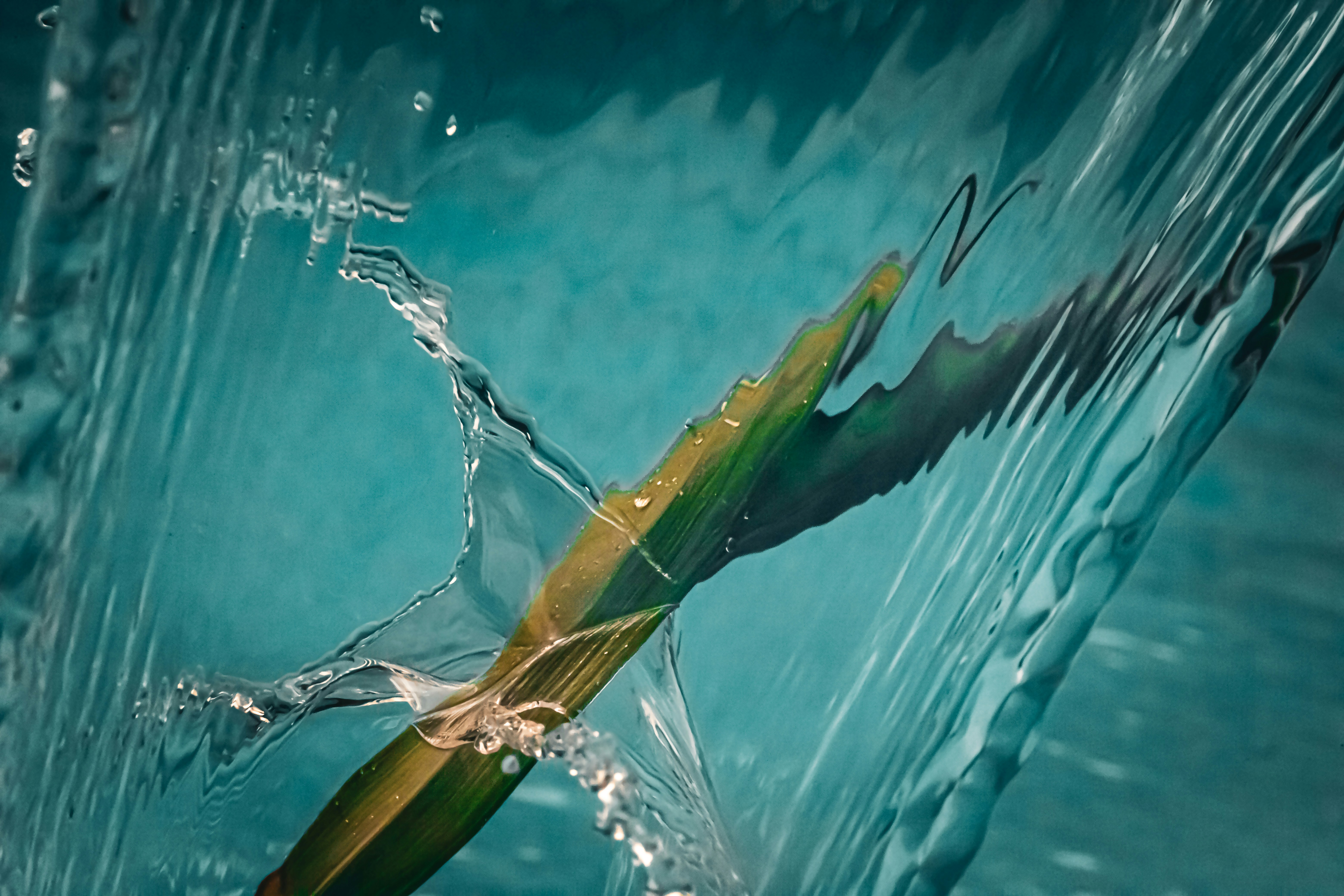 A vibrant green leaf pierces through a curtain of water, creating dynamic ripples against a blue backdrop.