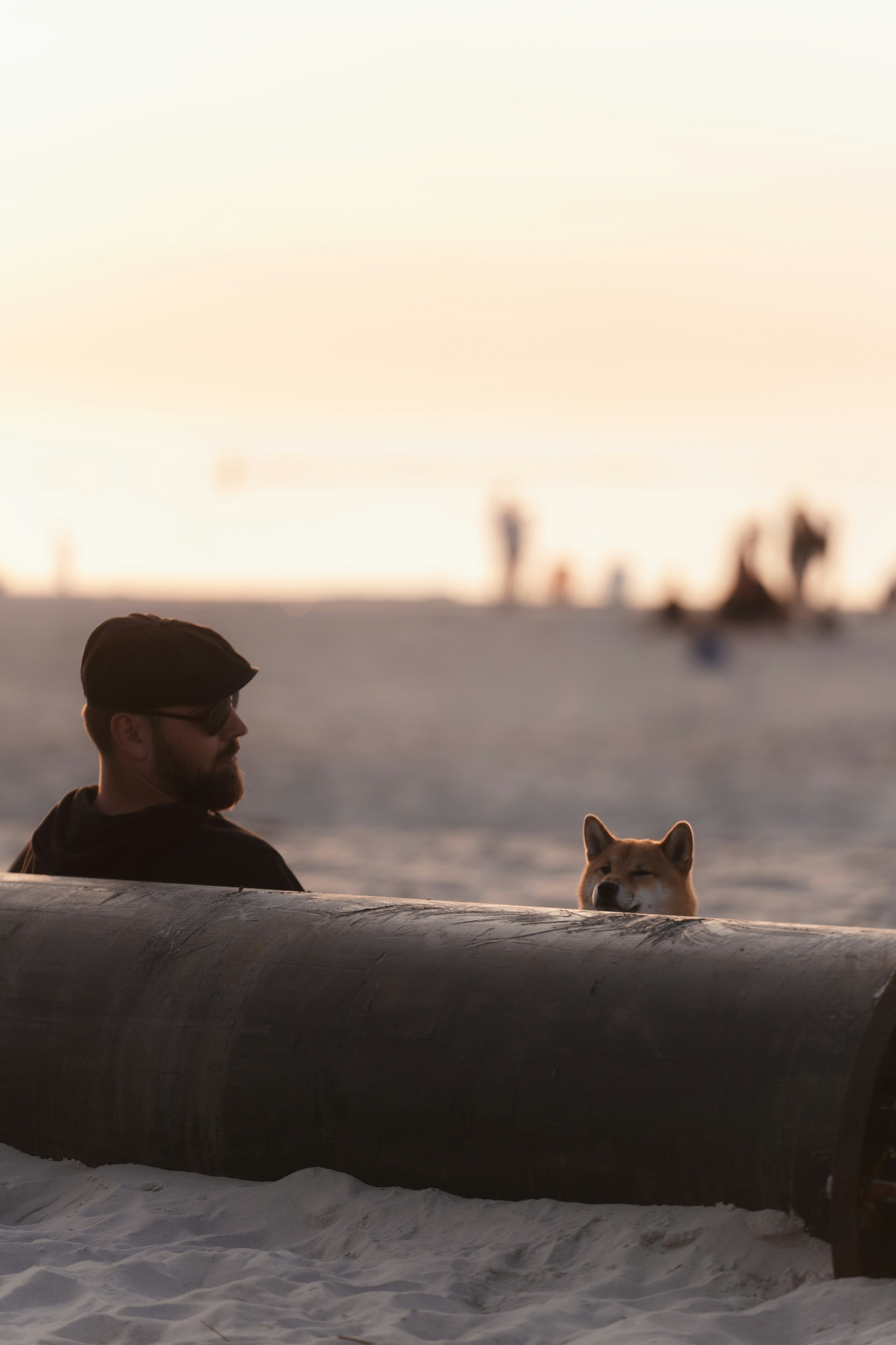 A man sits beside a large pipe on the beach, while a Shiba Inu peeks out from behind it, creating a moment of curiosity and connection.