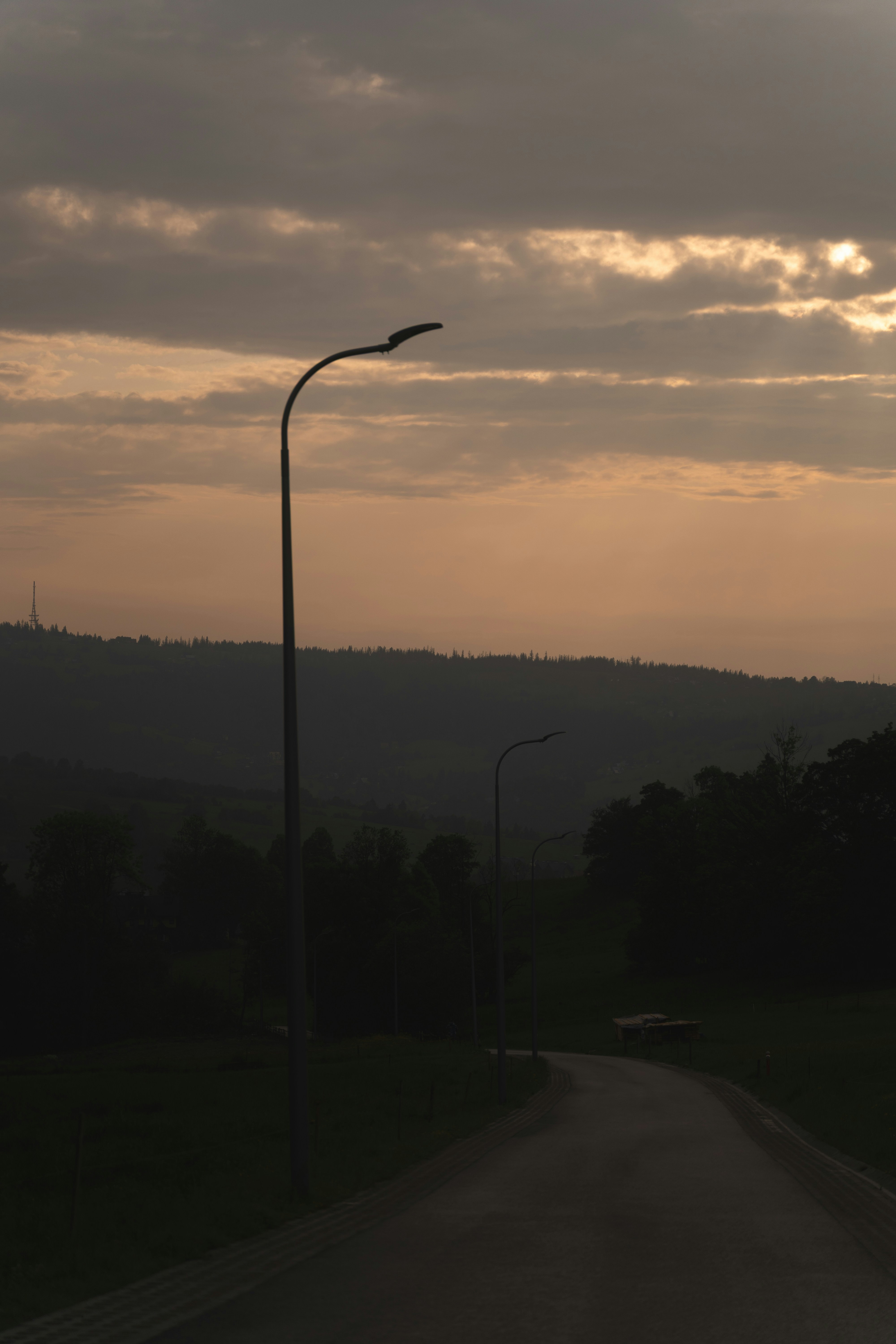 A serene twilight scene featuring a winding road flanked by streetlights, leading into a misty landscape under a cloudy sky.