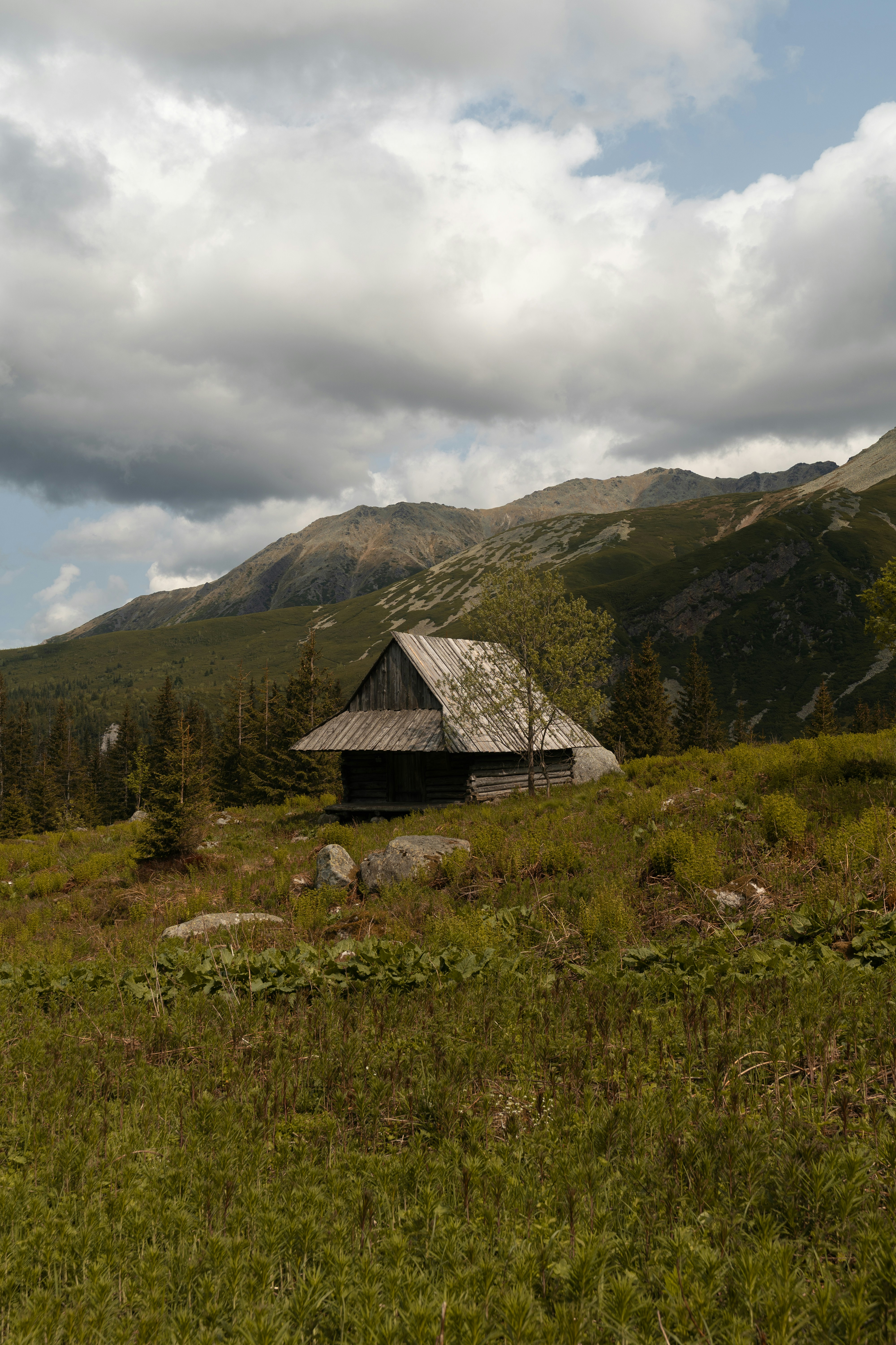 Wooden house in Tatry | A wooden cabin stands in a mountainous landscape.