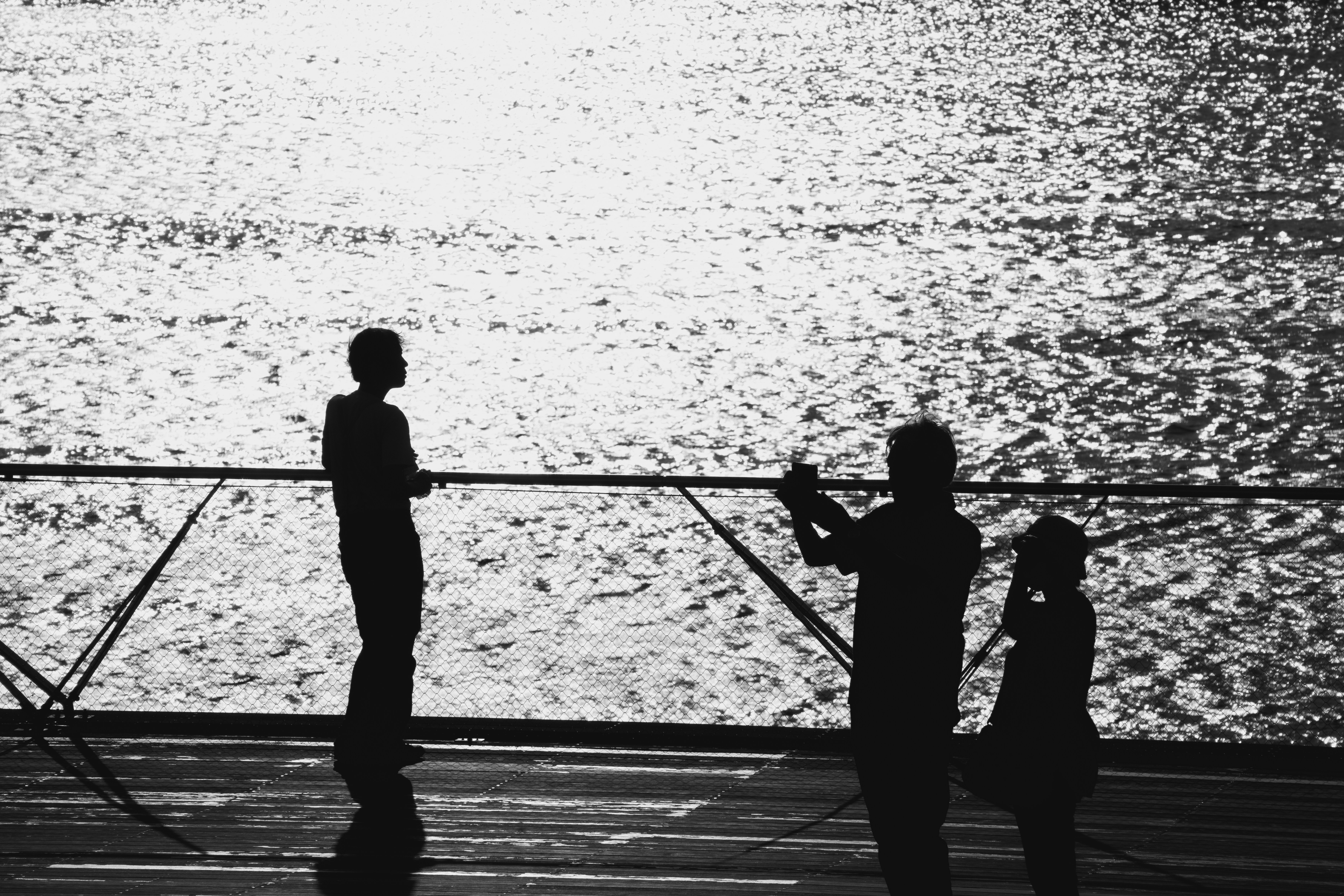 Silhouettes Against the Glimmering Water
