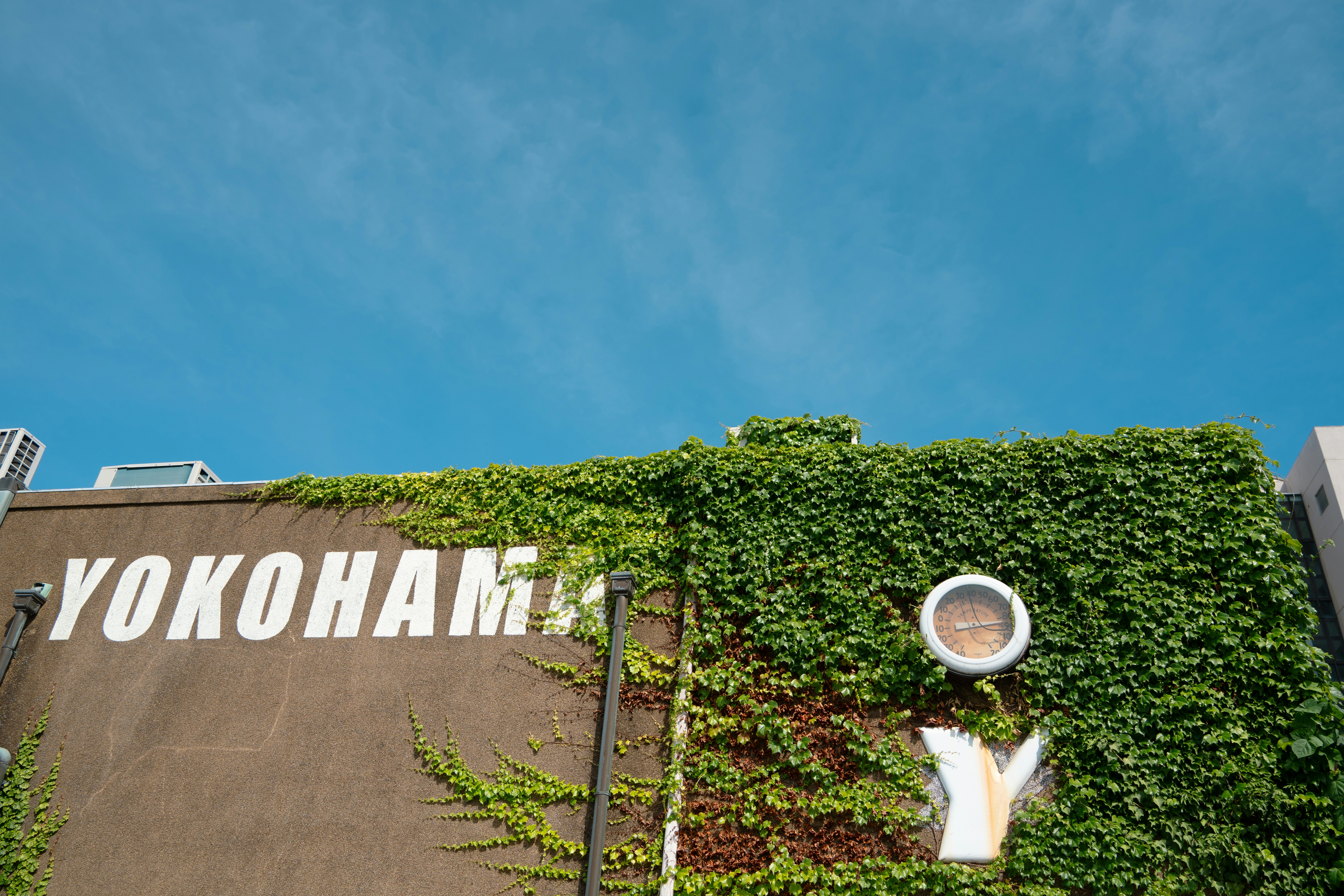 Yokohama sign covered in greenery under blue sky. photo – Free Building ...