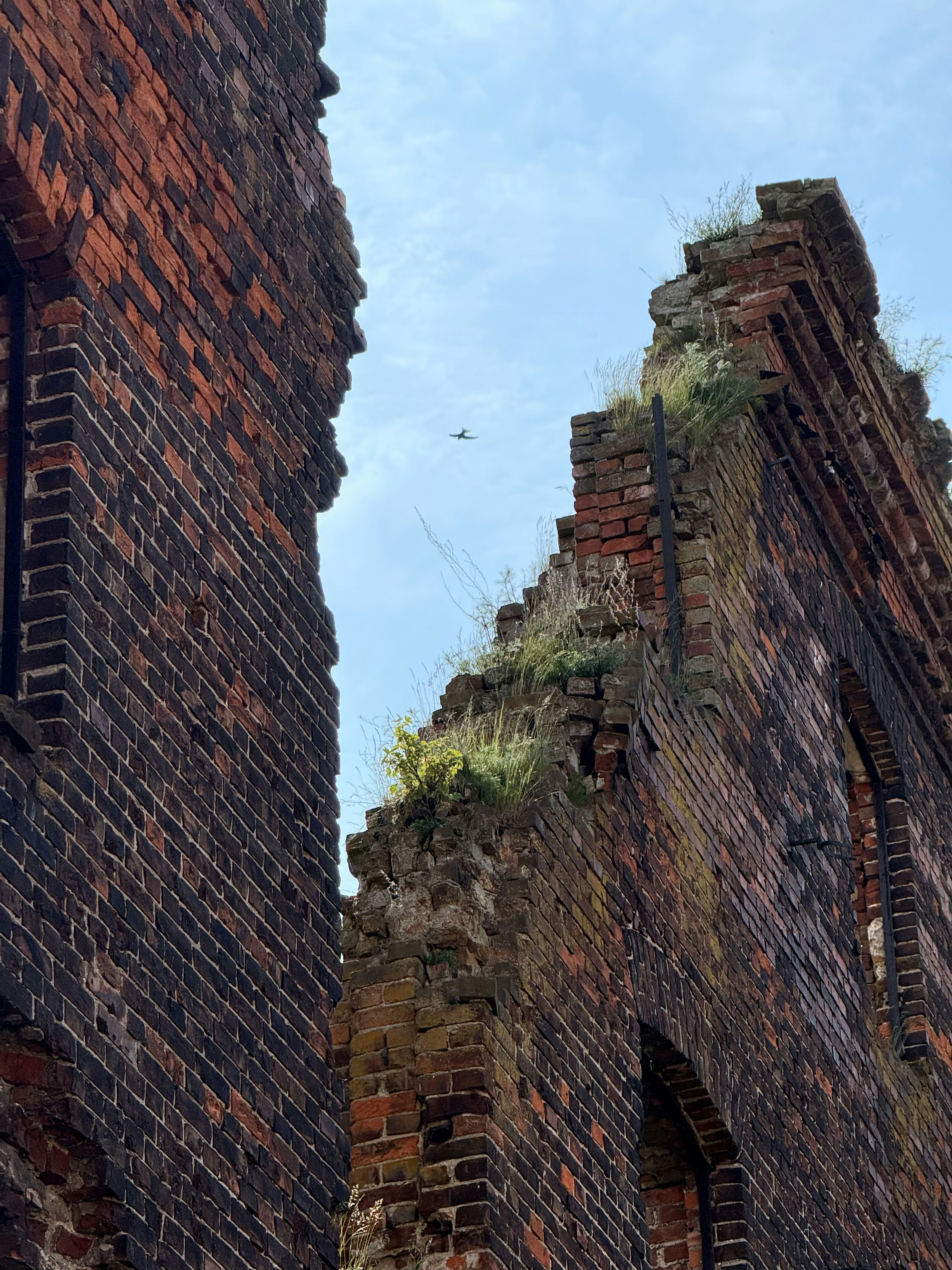 Echoes of Time: Nature Reclaims Ruins