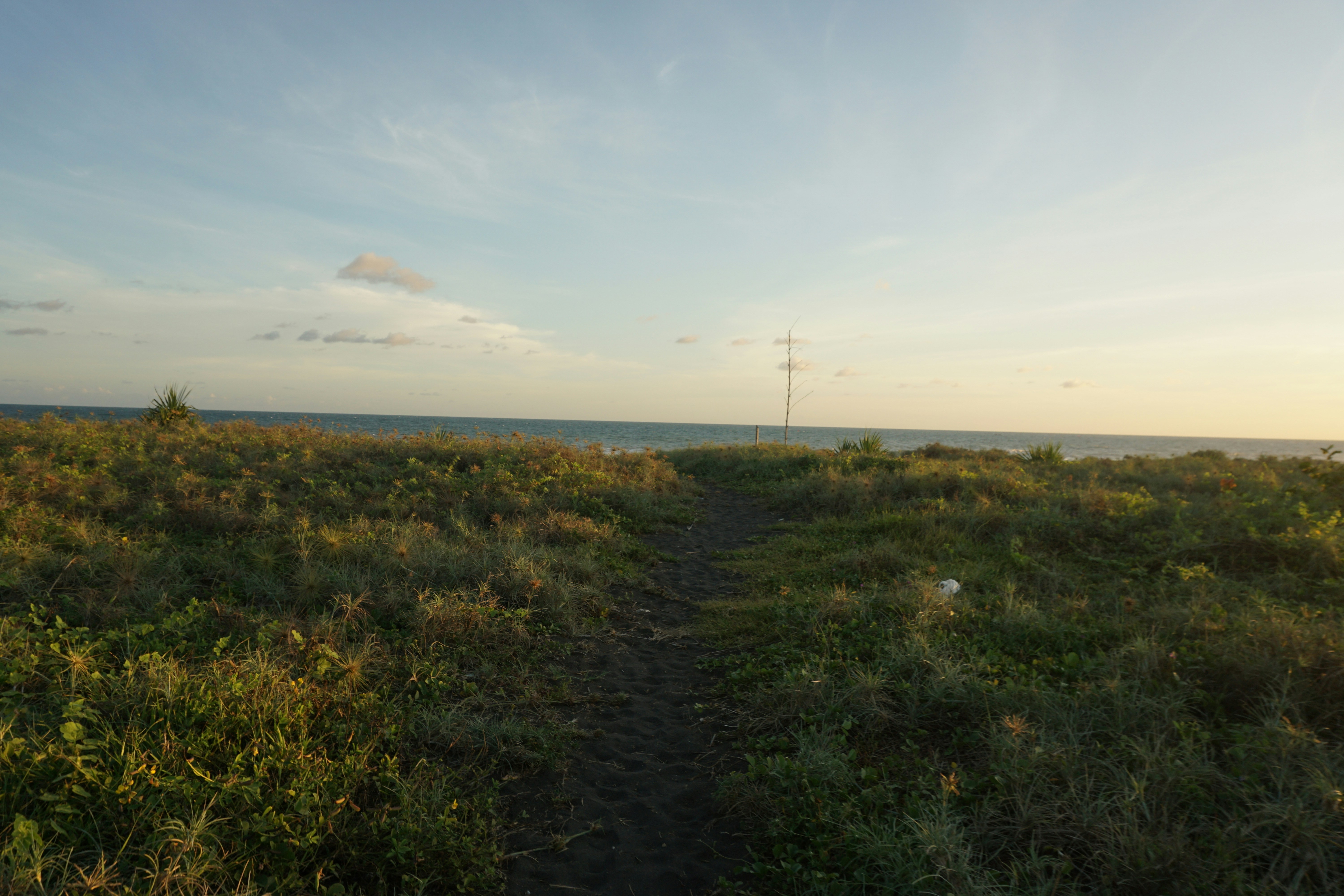 Pathway to the Horizon: A Serene Coastal Escape