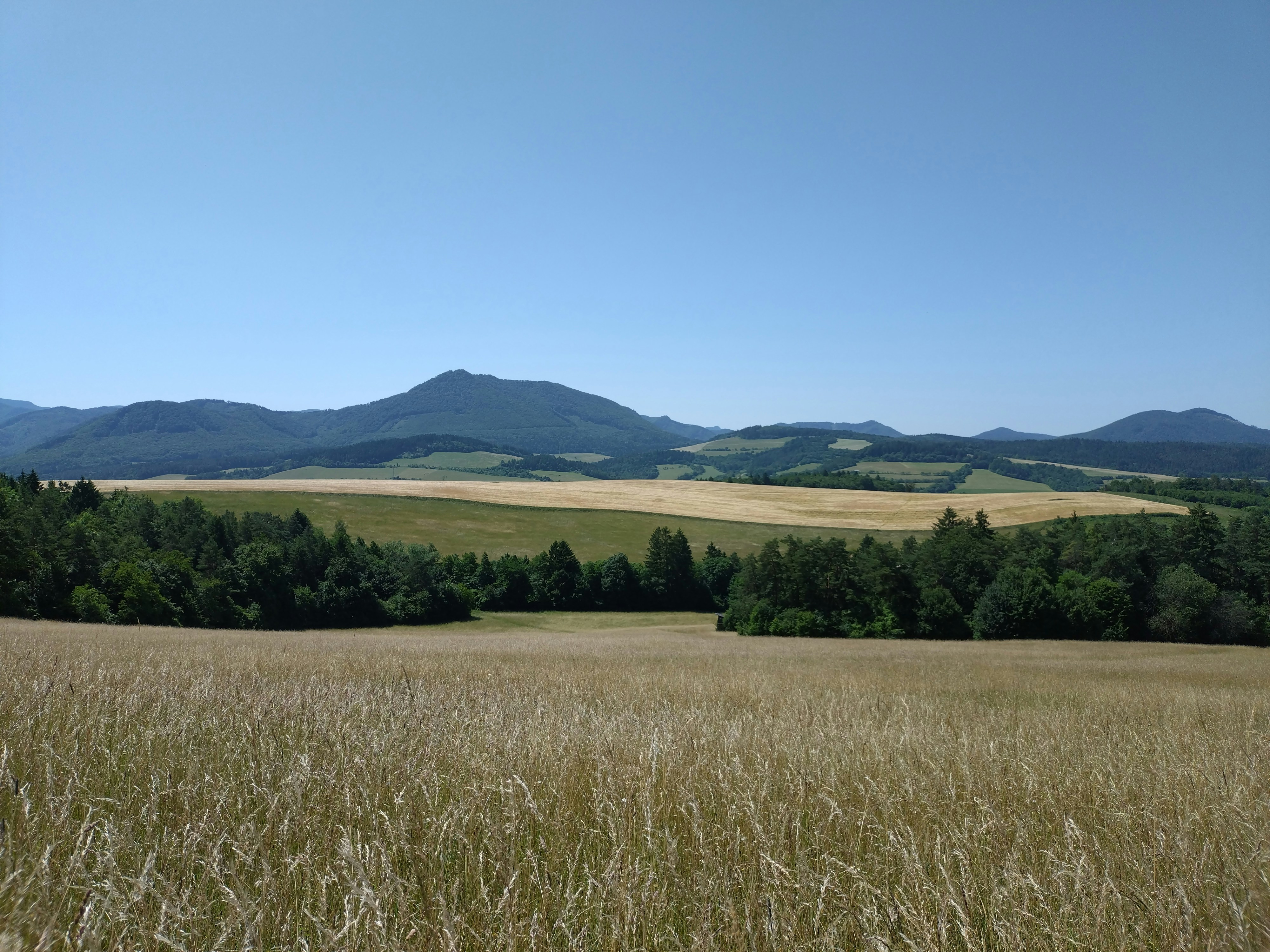 Expansive golden fields stretch towards distant mountains under a clear blue sky, showcasing the beauty of rural landscapes.