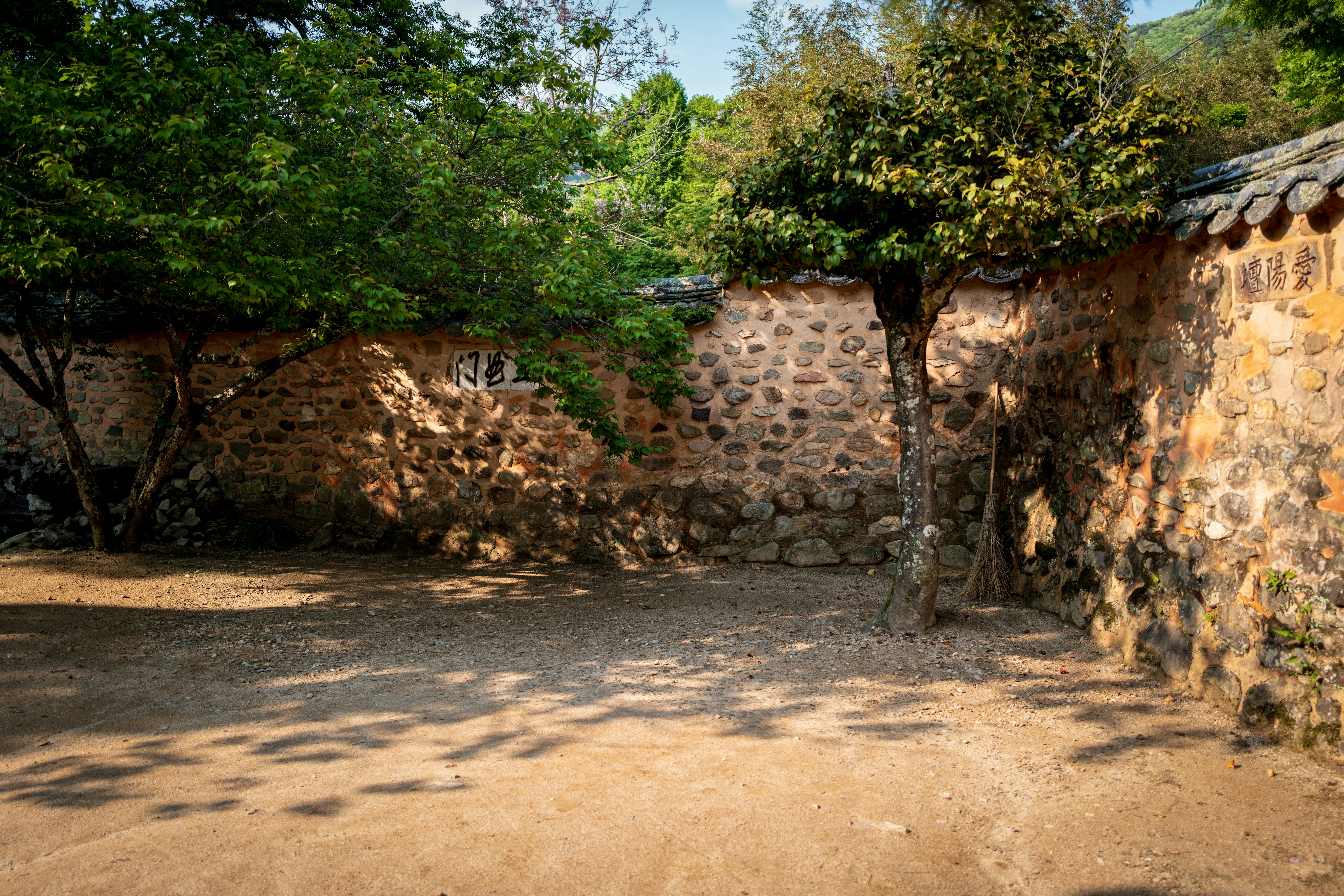 Whispers of Time: The Tranquil Embrace of Nature and Stone