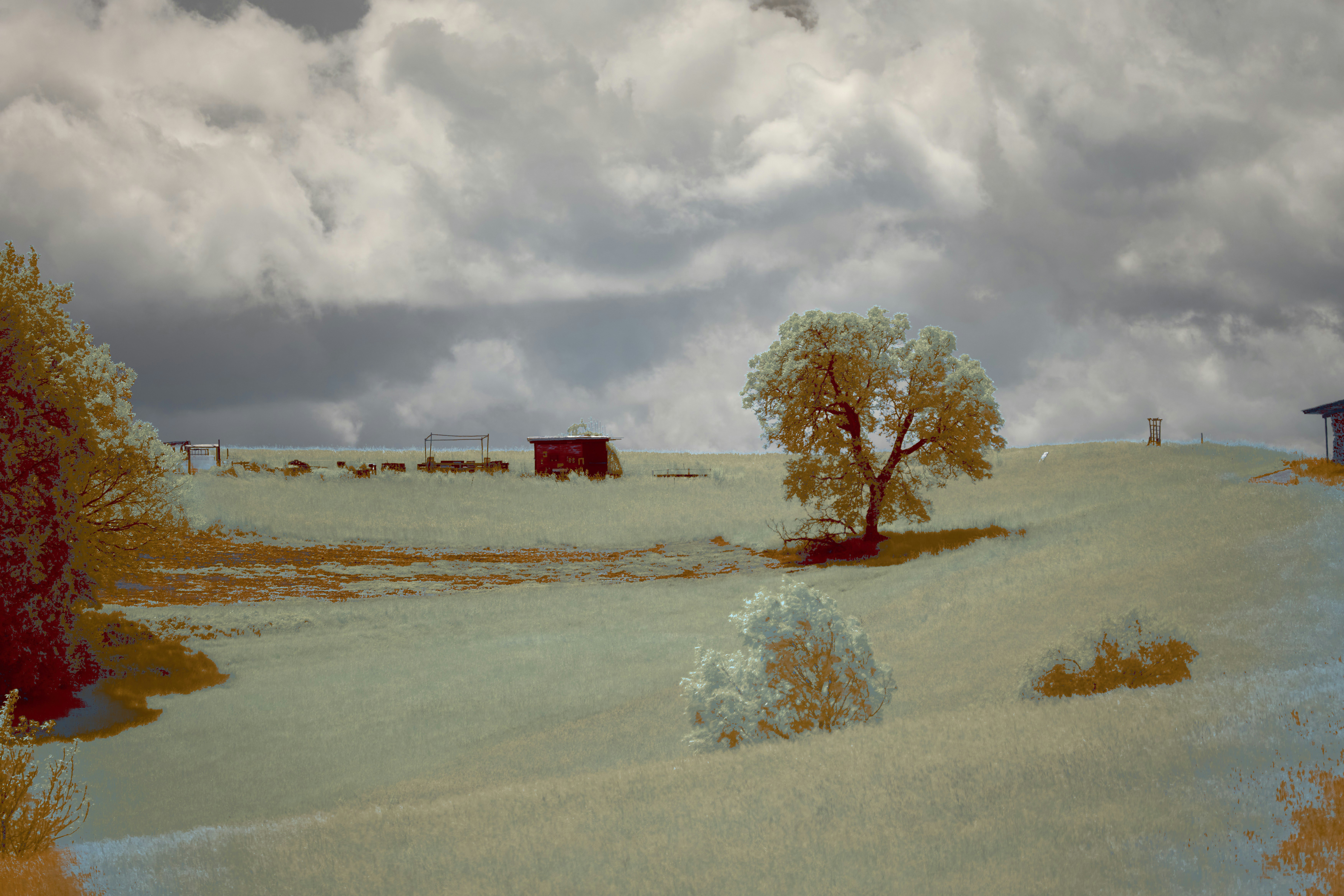 A solitary tree stands on a gently rolling hillside under a dramatic sky, with hints of an abandoned structure in the background. The landscape evokes a sense of tranquility and nostalgia.