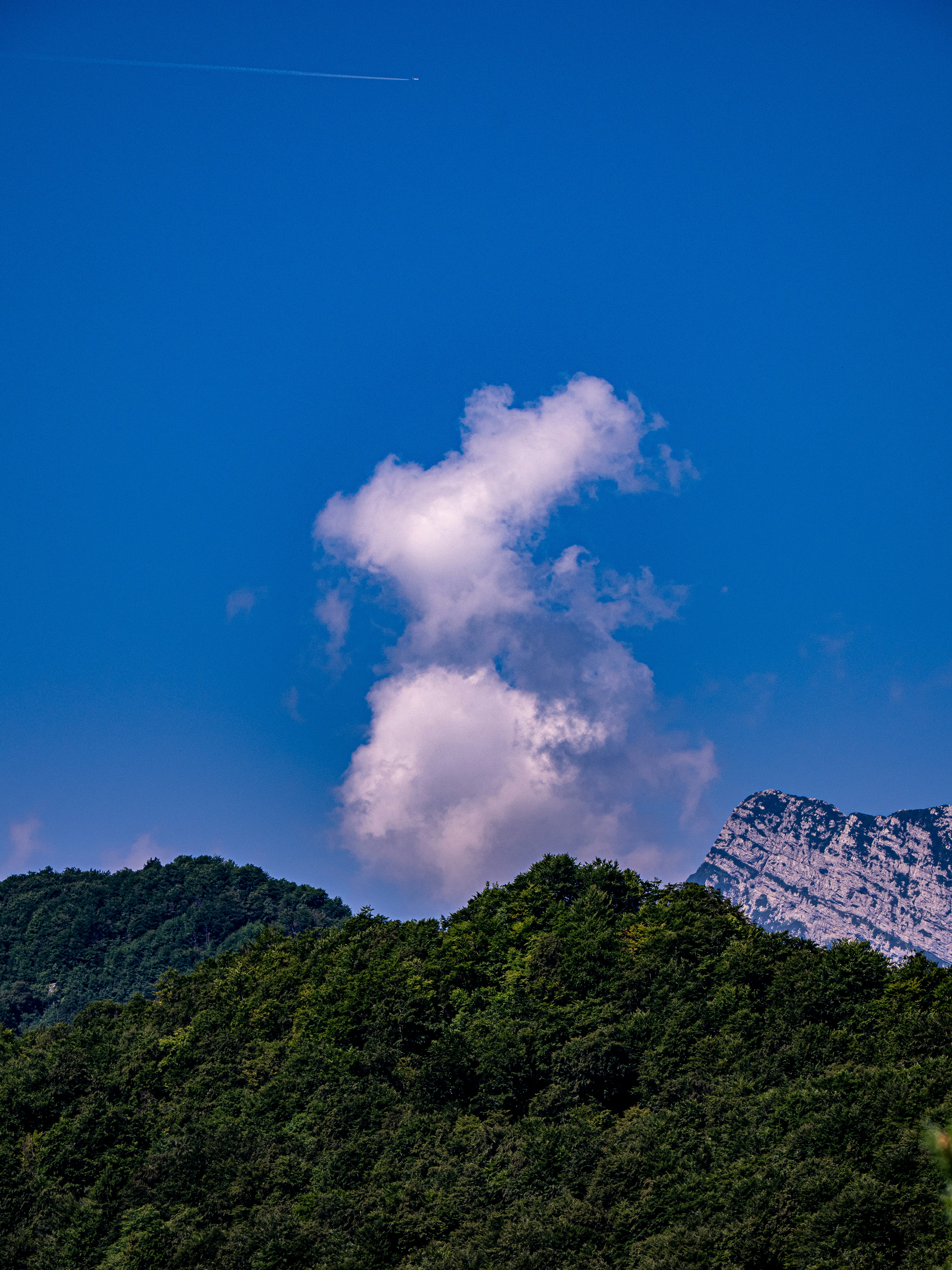 Cumulus Column Rising Over a Forested Ridge Beneath a Deep Blue Sky