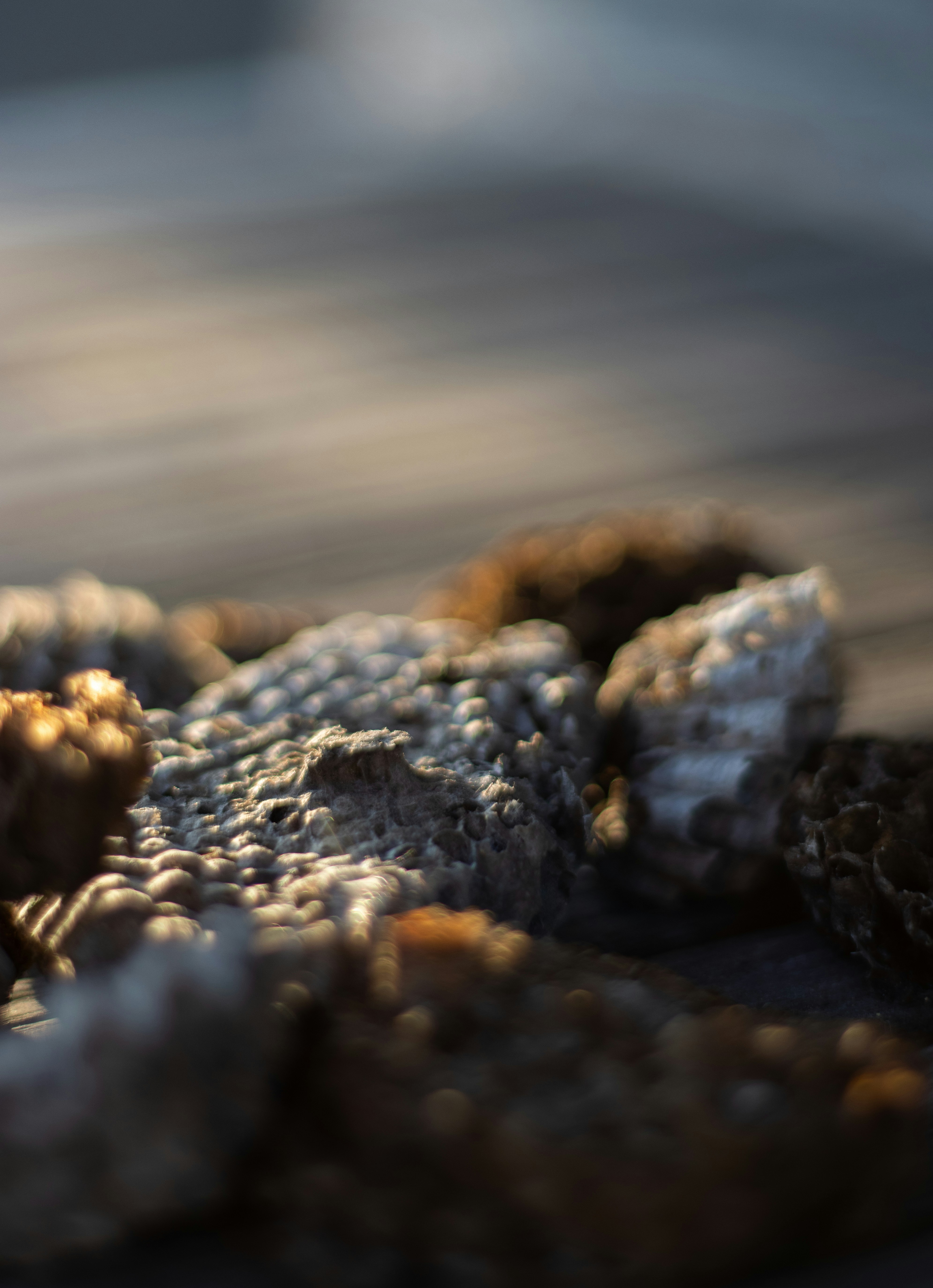 Pebble Mosaic at Sunset: Close-Up on Shoreline Texture