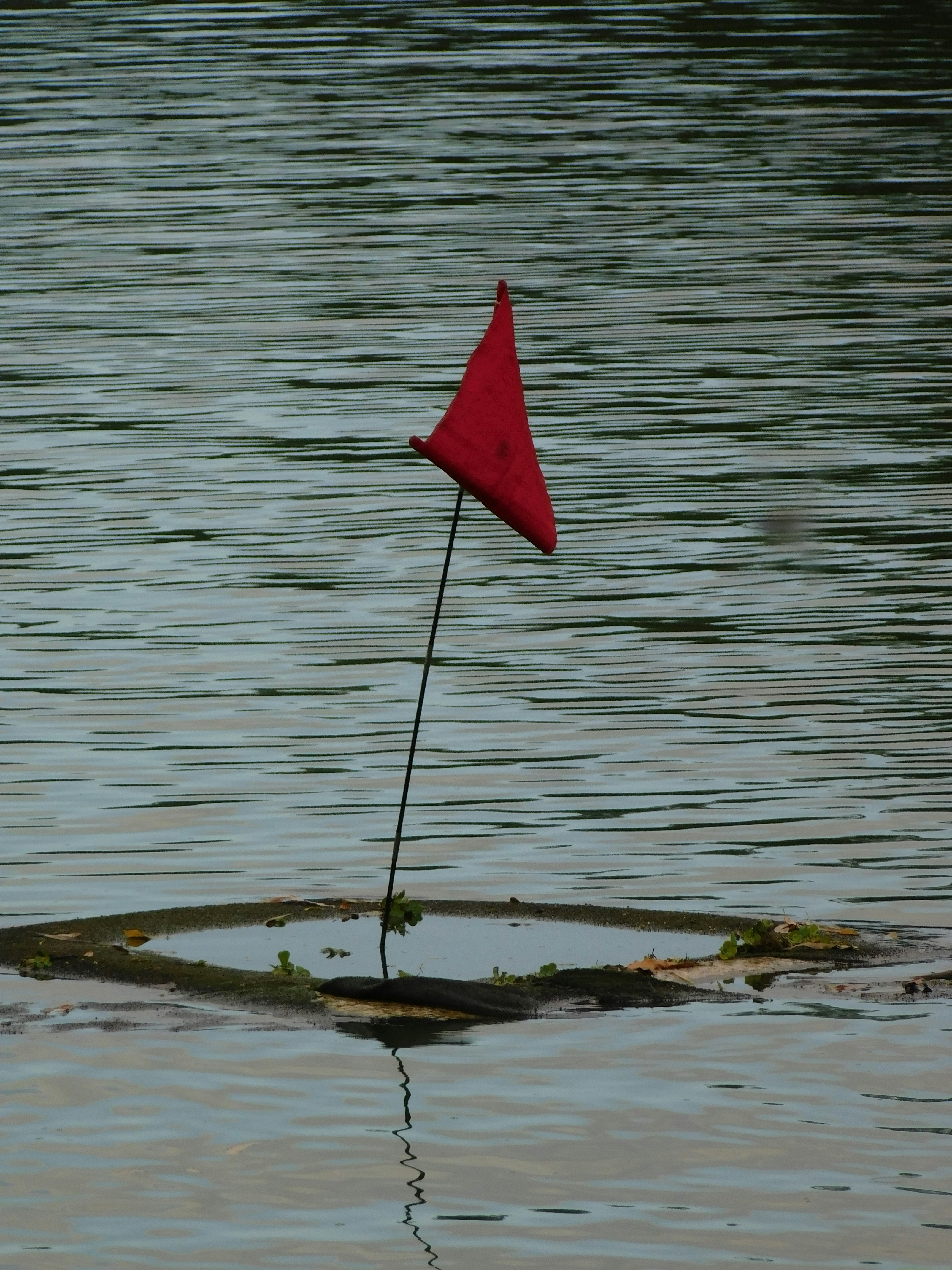 The Silent Sentinel: A Flag Amidst Tranquility