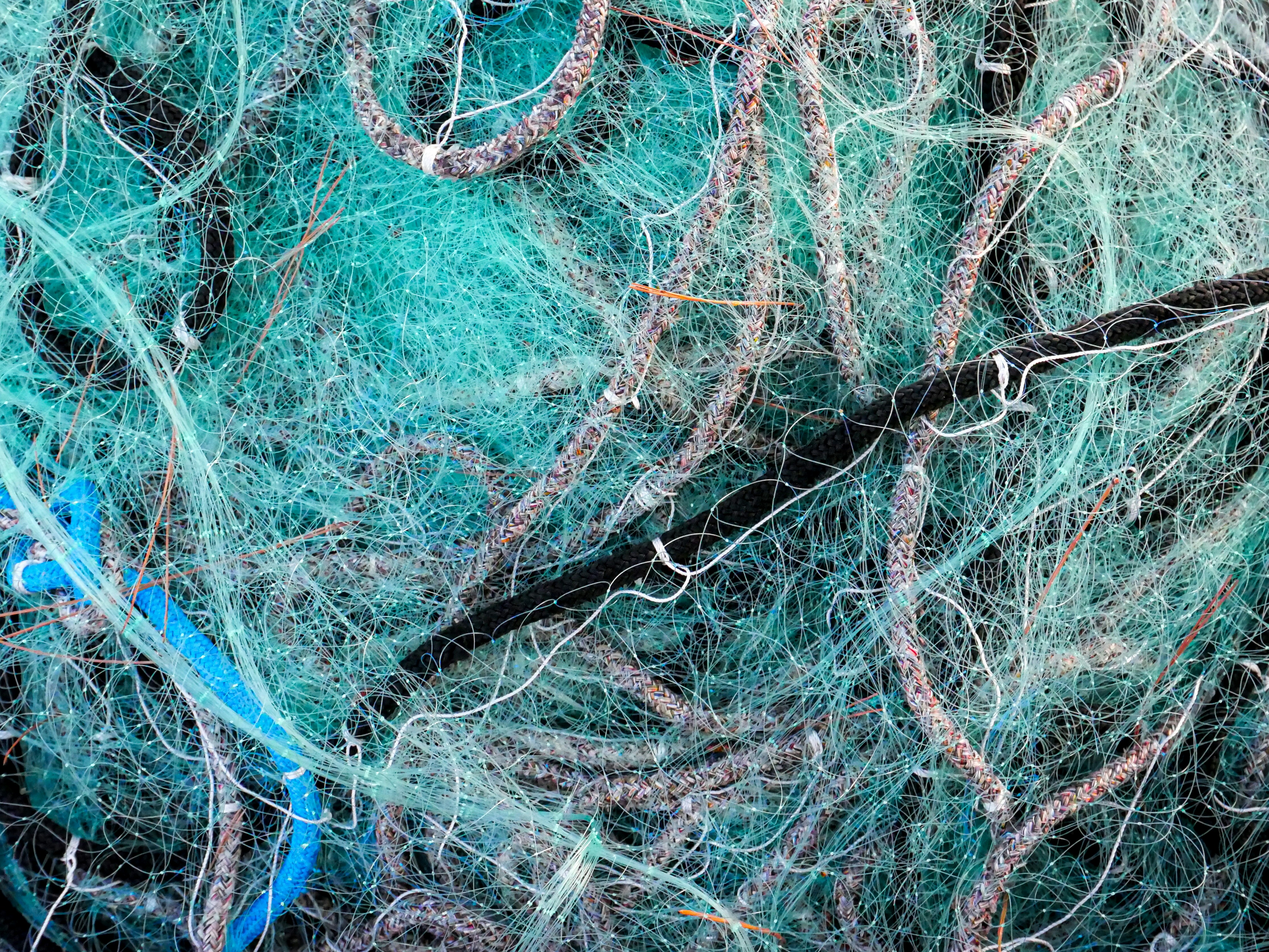 Fishing net close-up | Close-up of intertwined blue netting and ropes.