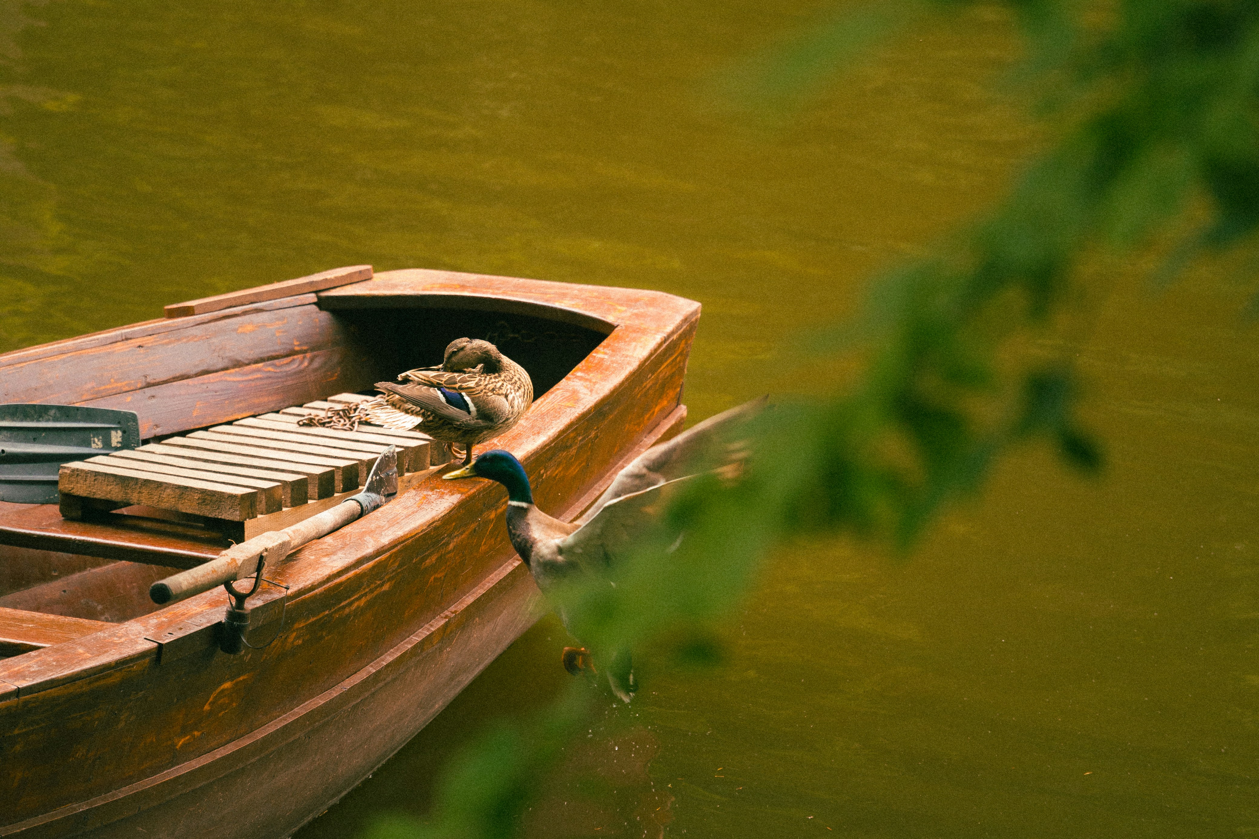 Serenity on the Water's Edge