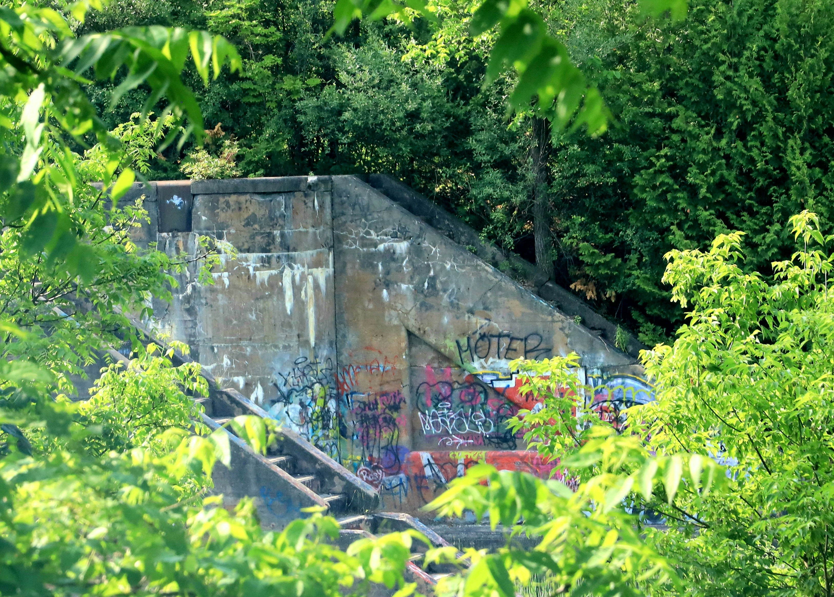 Urban Canvas: Nature's Embrace of Forgotten Structures