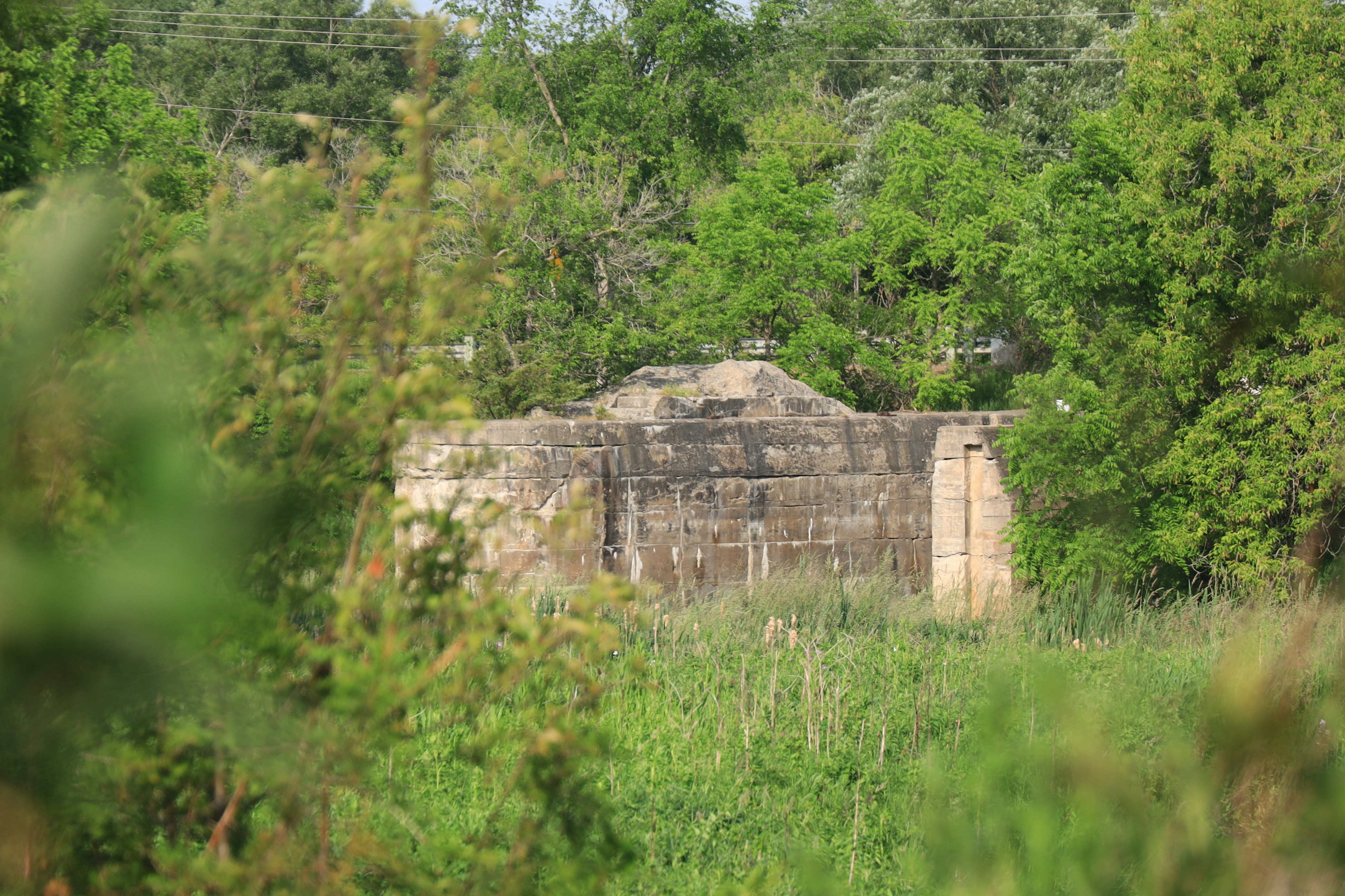 Whispers of Time: Nature's Embrace on Forgotten Ruins