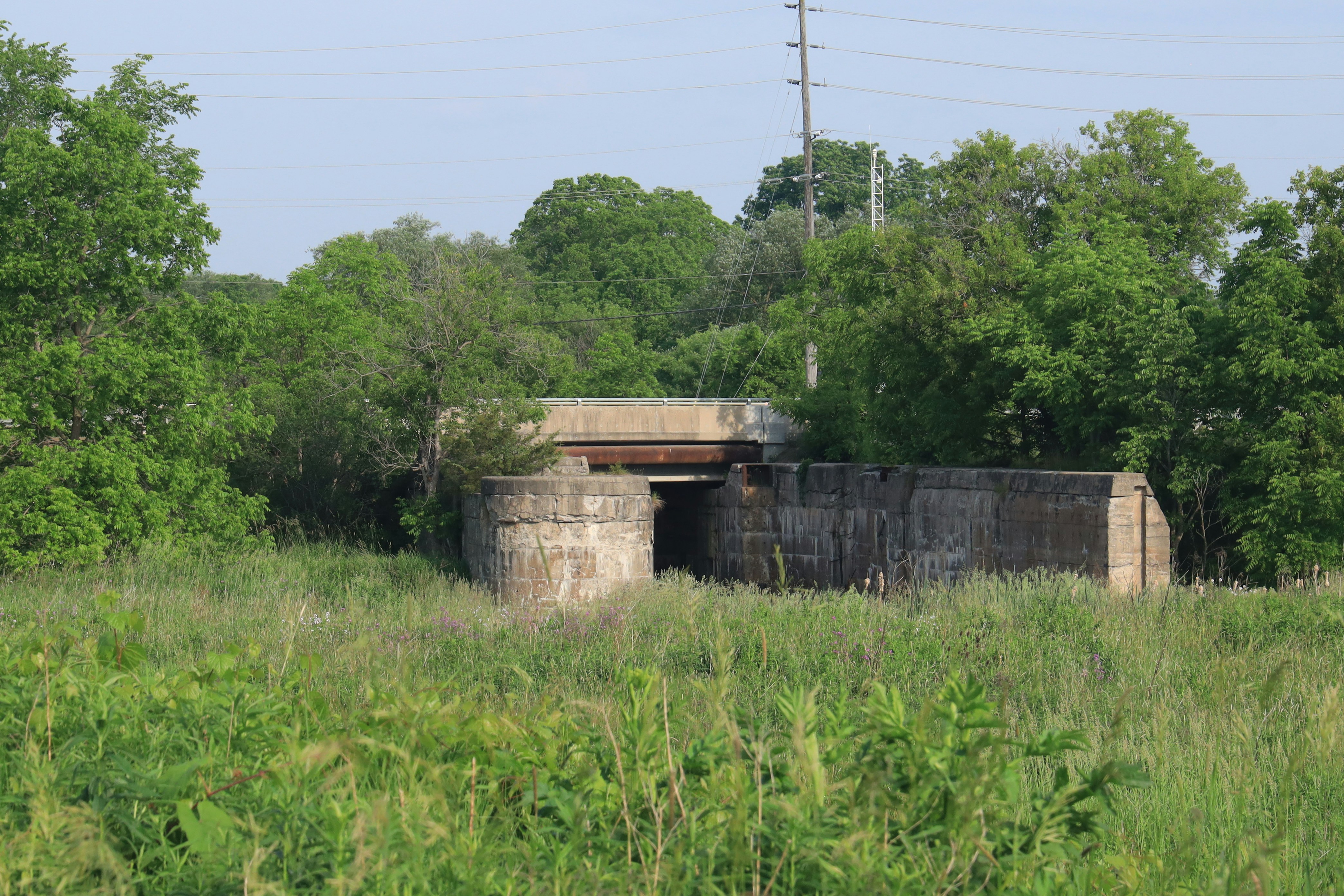 Forgotten Pathways: Nature Reclaims History