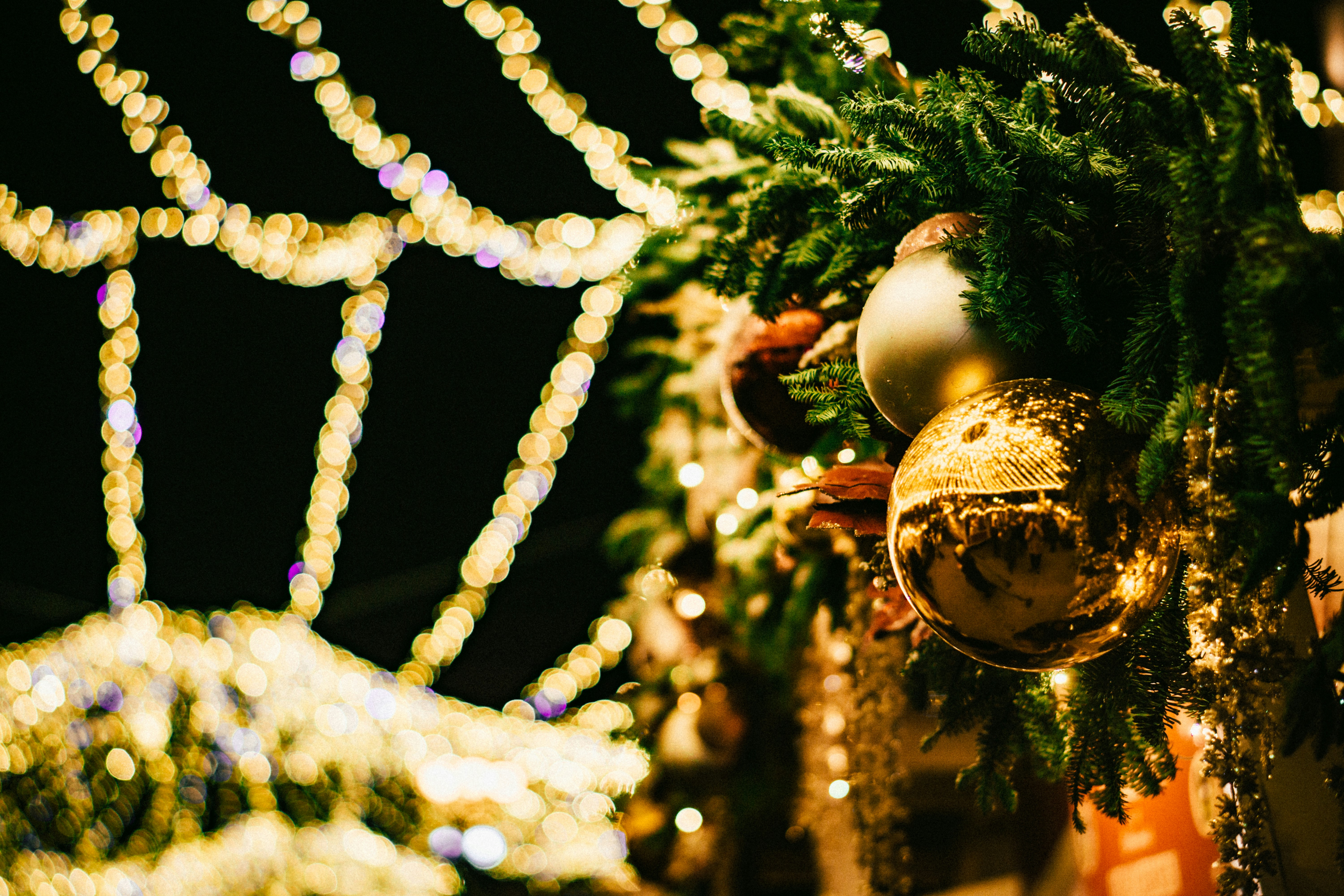 Christmas magic in soft focus—twinkling string lights blur into golden bokeh behind sharply detailed fir branches adorned with vintage glass ornaments. The scene glows with nostalgic warmth, each bauble reflecting the festive lights like tiny worlds. | Christmas ornaments and lights create a festive scene.